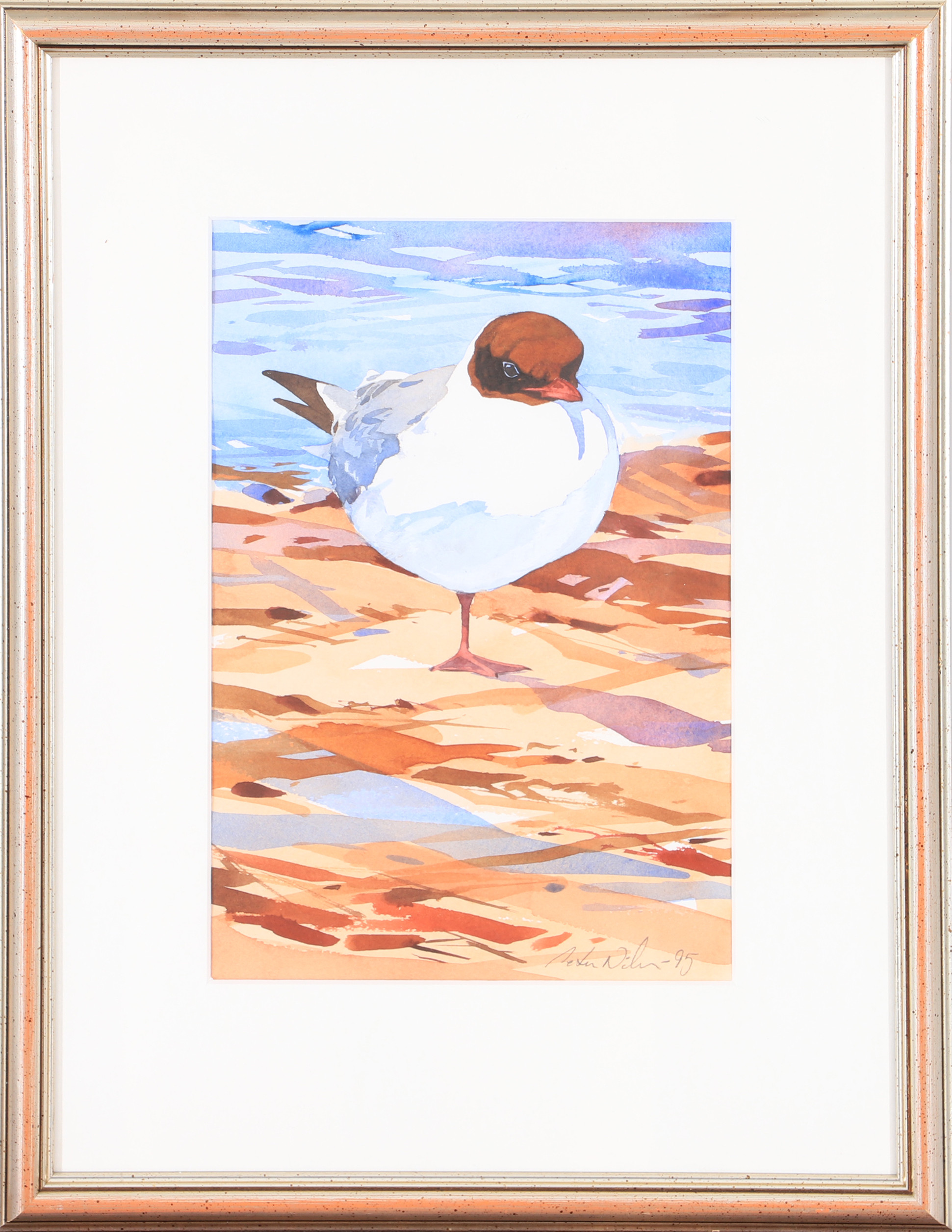 Images for 1898134. PETER NILSSON. Laughing seagull, watercolour ...