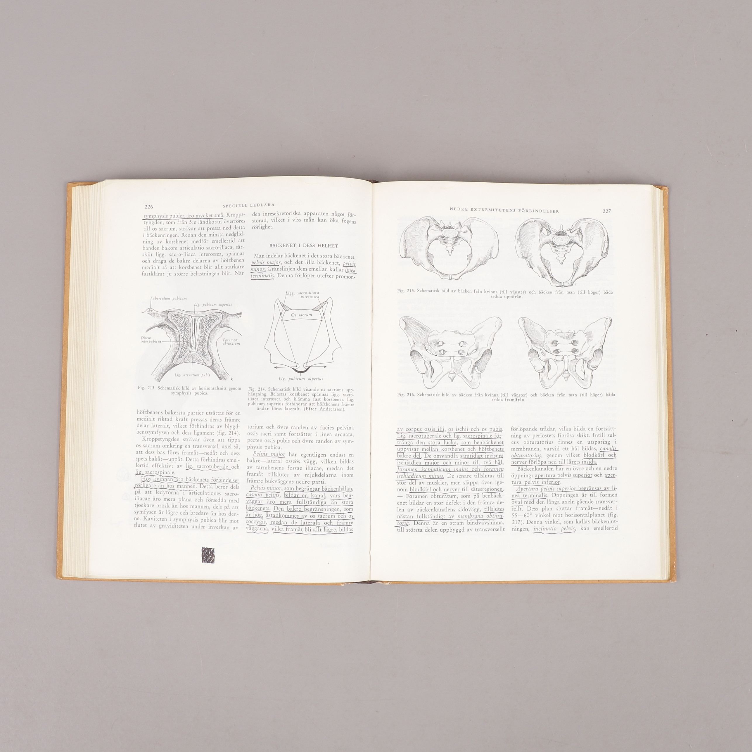 Images for 1926812. ANATOMY, HISTORY OF RUSSIA, books, 6 volumes ...