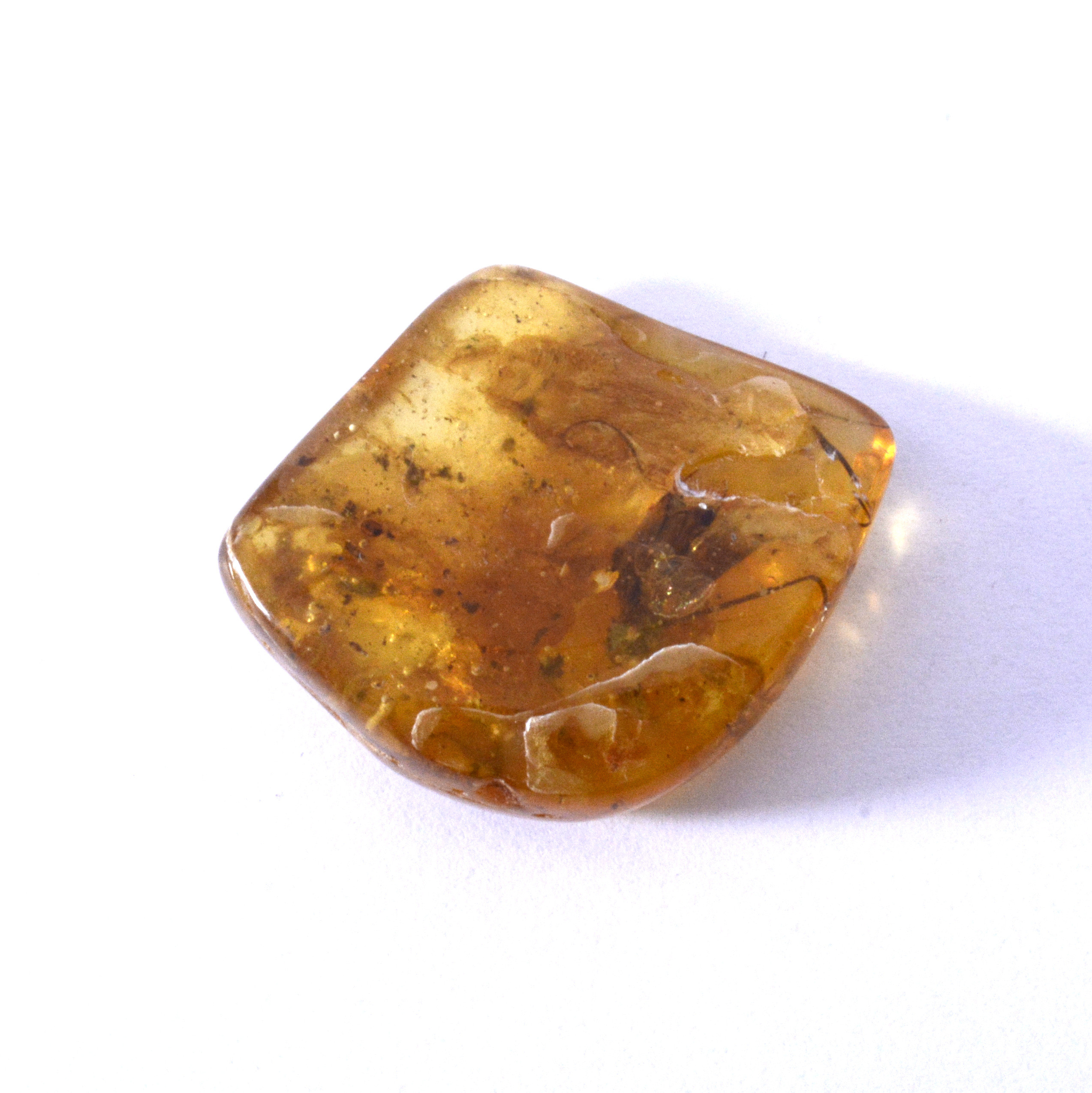 Rav med insekt. Smykker & ædelsten - Ædelsten - Auctionet