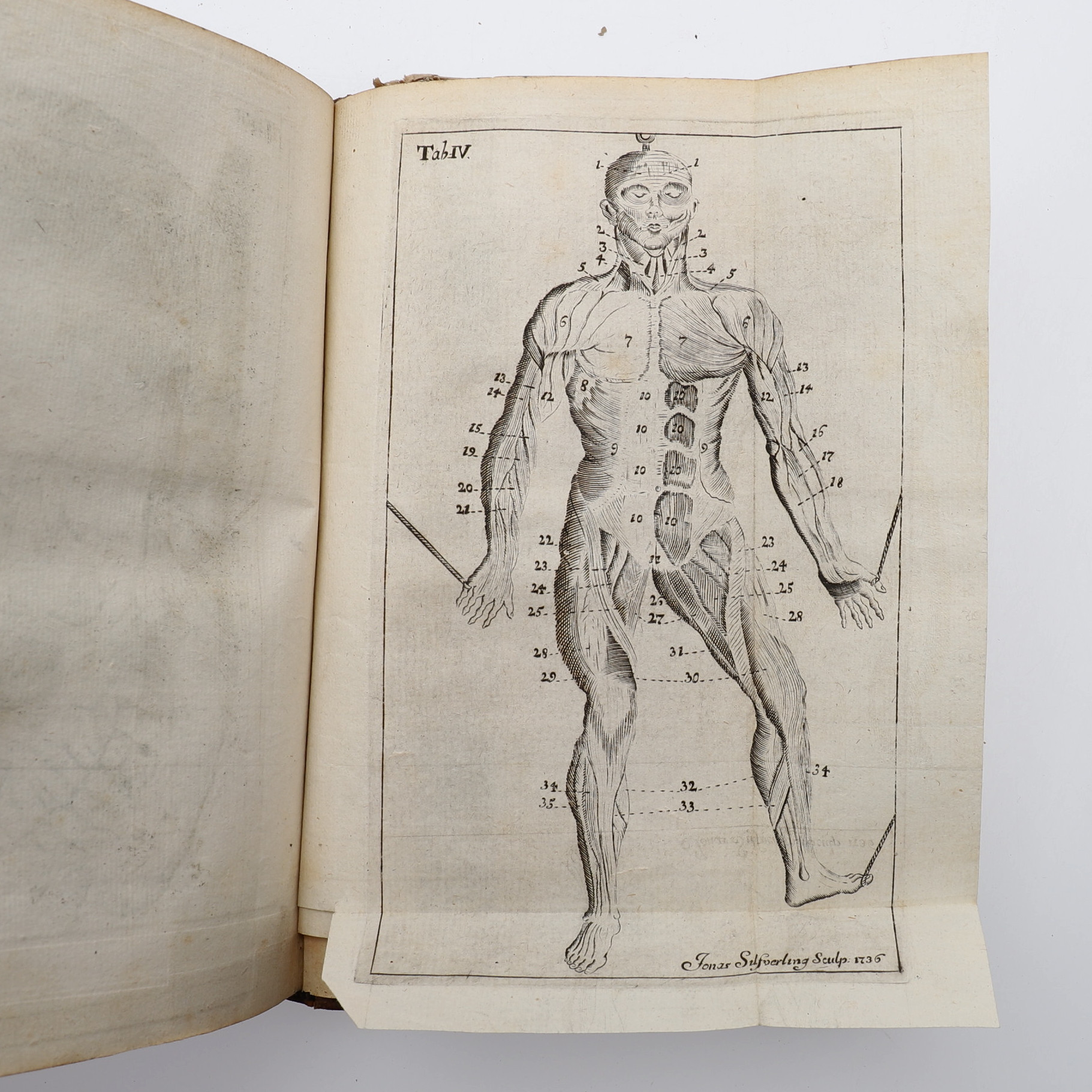 Images for 1962582. MEDICINE. NILS ROSÉN'S COMPENDIUM ANATOMICUM 1738 ...