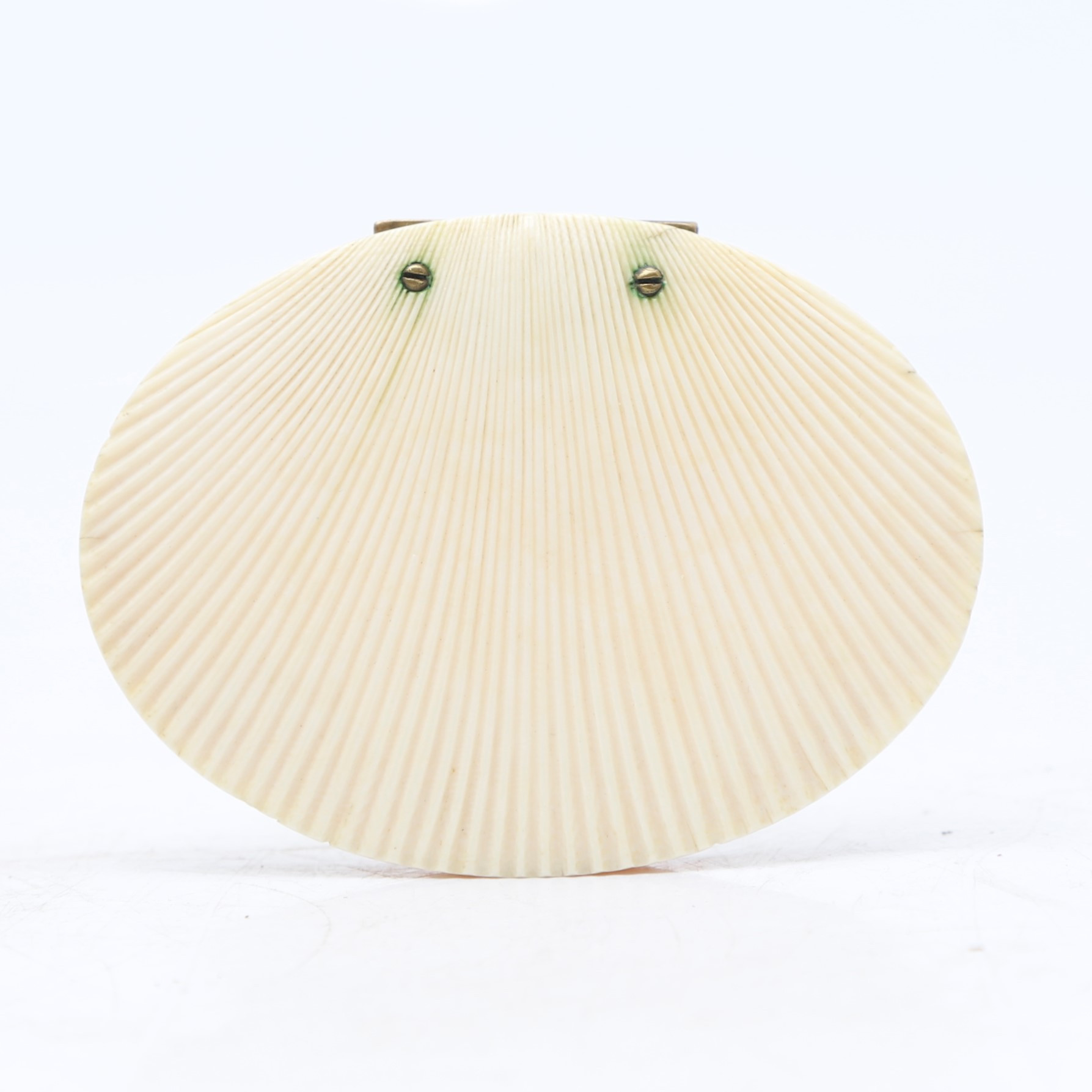 Scallop-shaped snuff box, probably English, in ivory, 18th Century ...