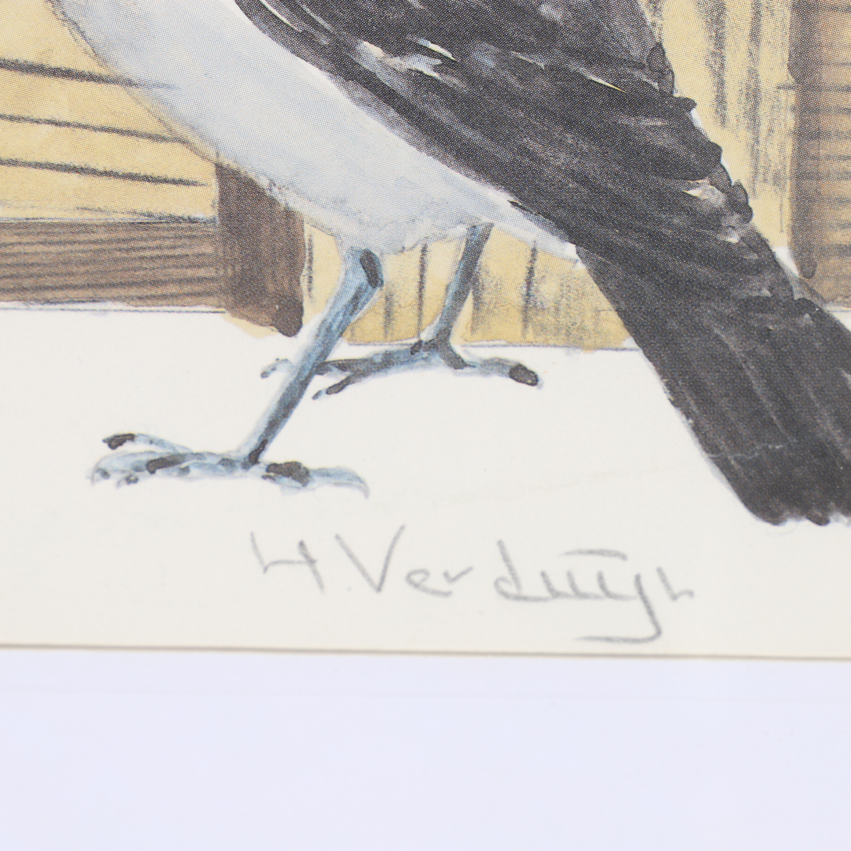 Images for 2016880. HANS VERDUIJN. Birds, color lithograph, signed H ...