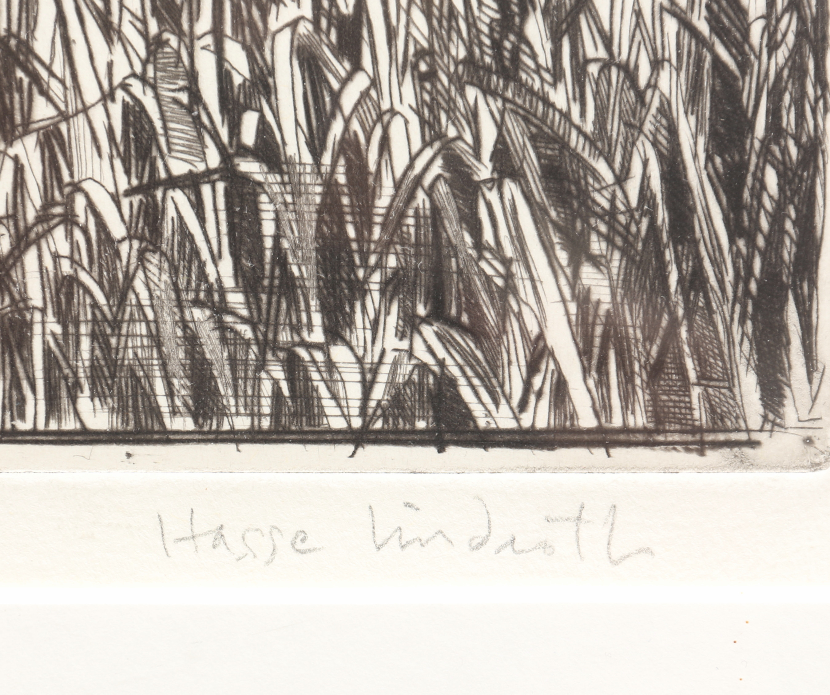 Images for 2035270. HASSE LINDROTH. "Waldemarsudde". Etching, signed ...