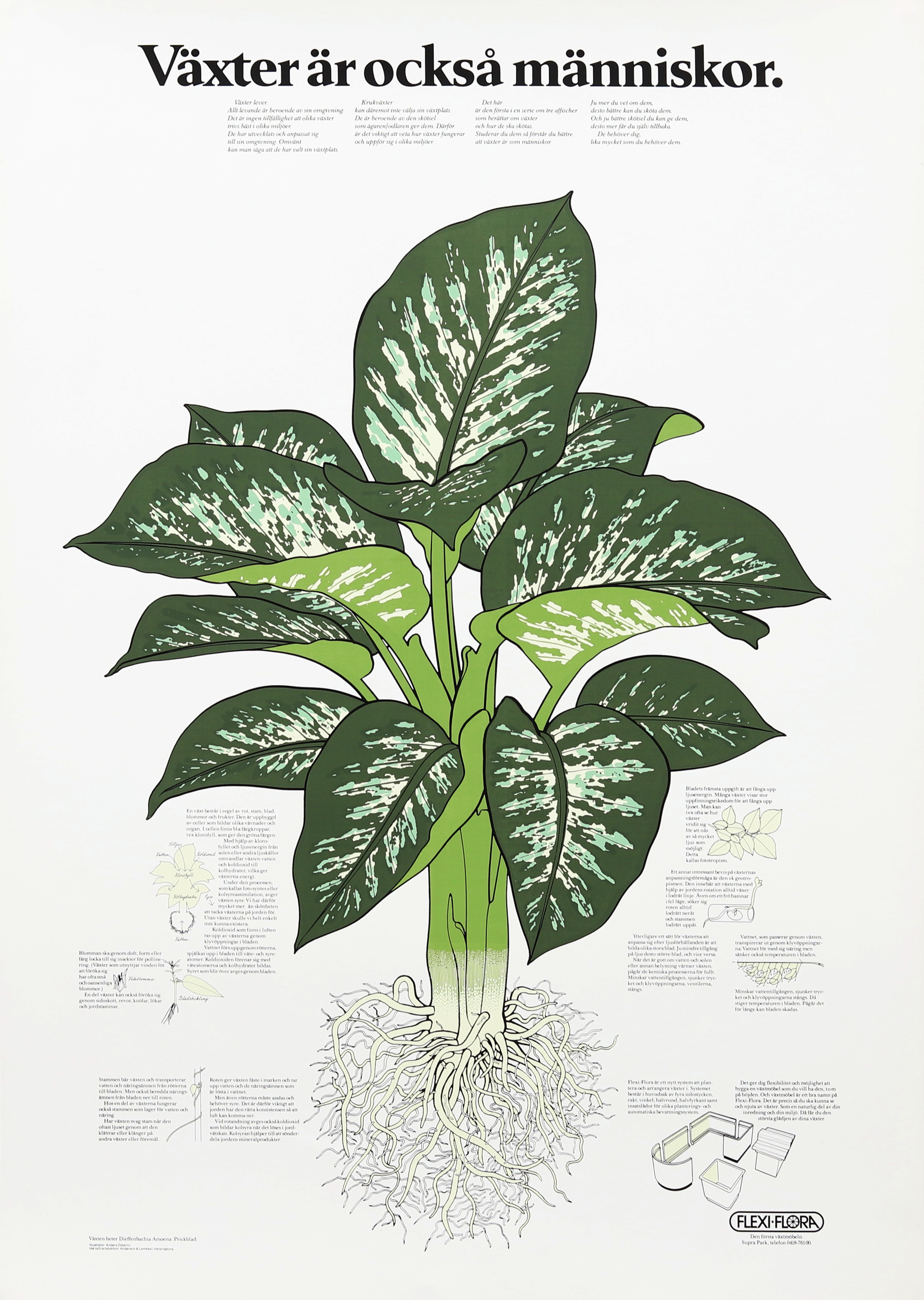 Bilder för 2041051. AFFISCH, "Växter är också människor" reklam för ...