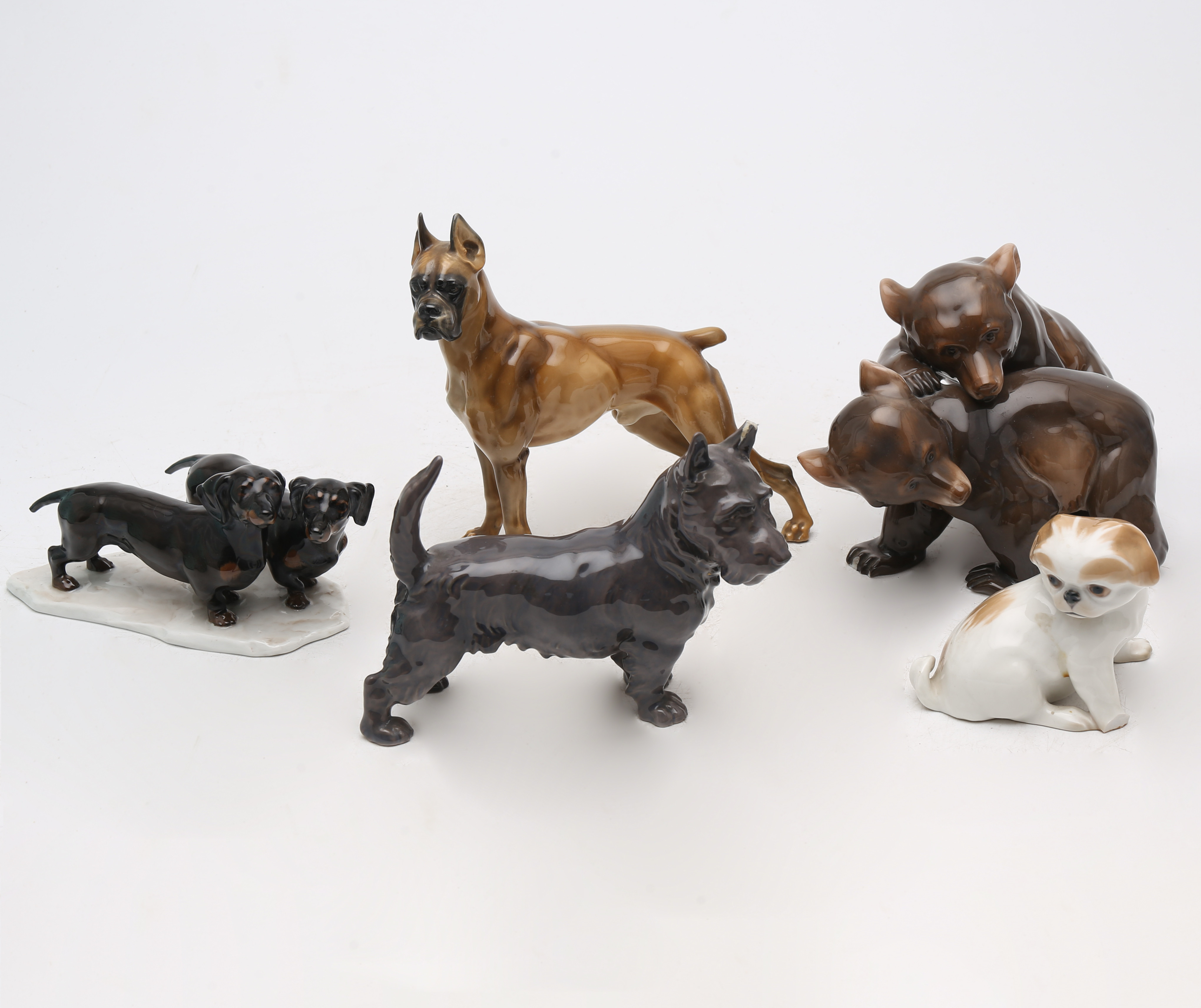 Bilder zu 2117631. Bärenjunge und vier Hunde aus deutschem und ...