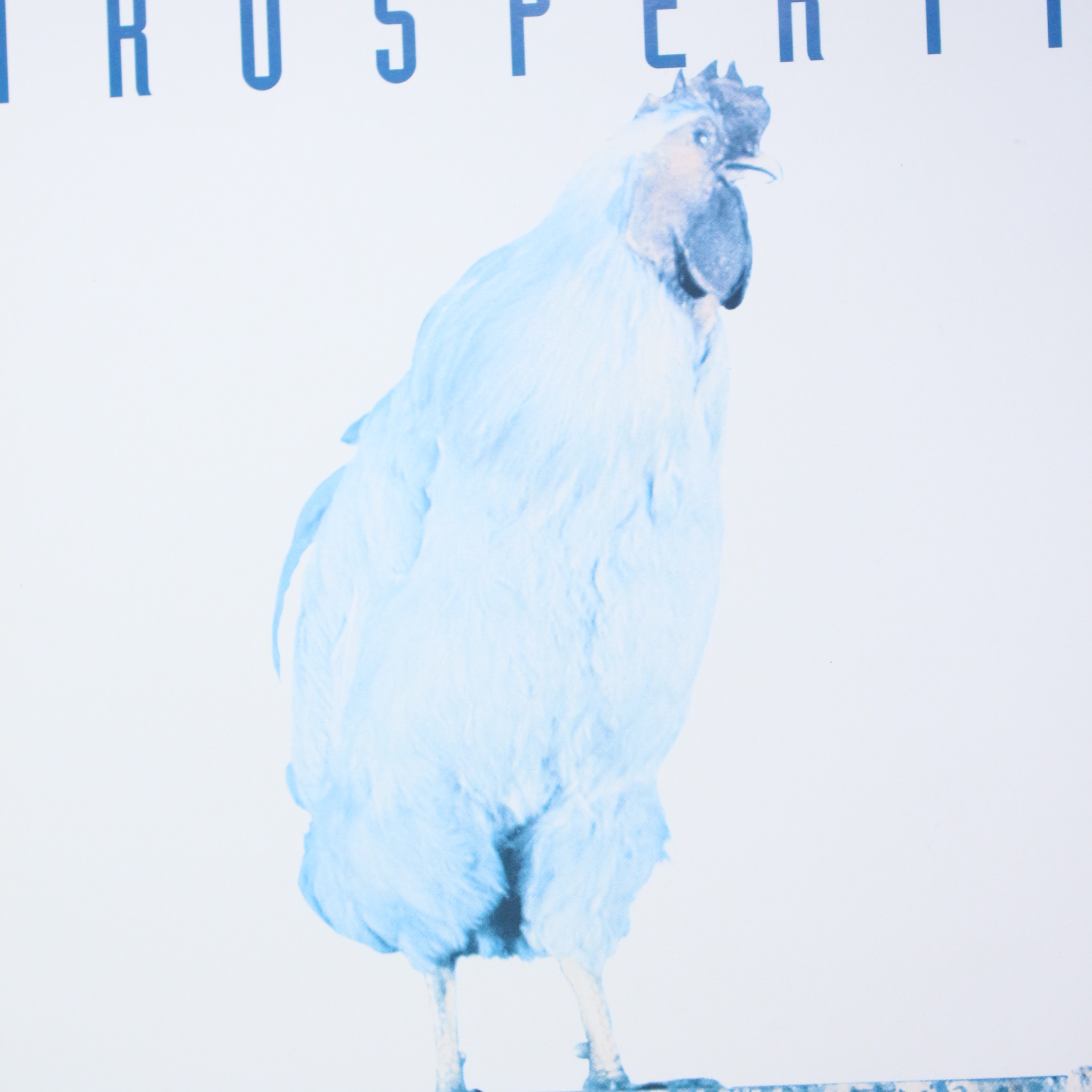 Images for 2129170. ROBERT RAUSCHENBERG. 'Poster for the exhibition ...