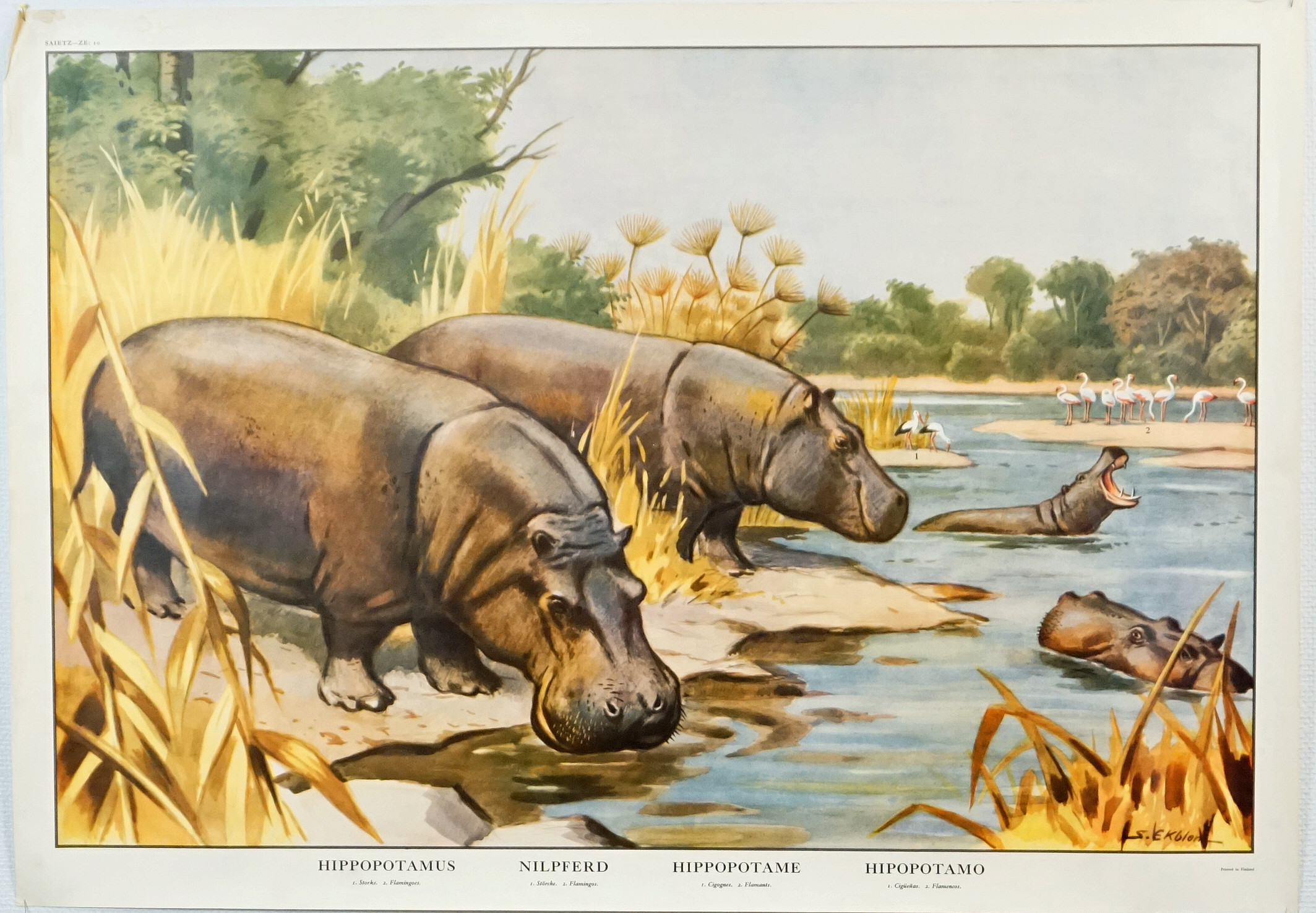 Bilder zu 2282464. PLÄNE 16, AQUARELL signiert Stig Claes und ...