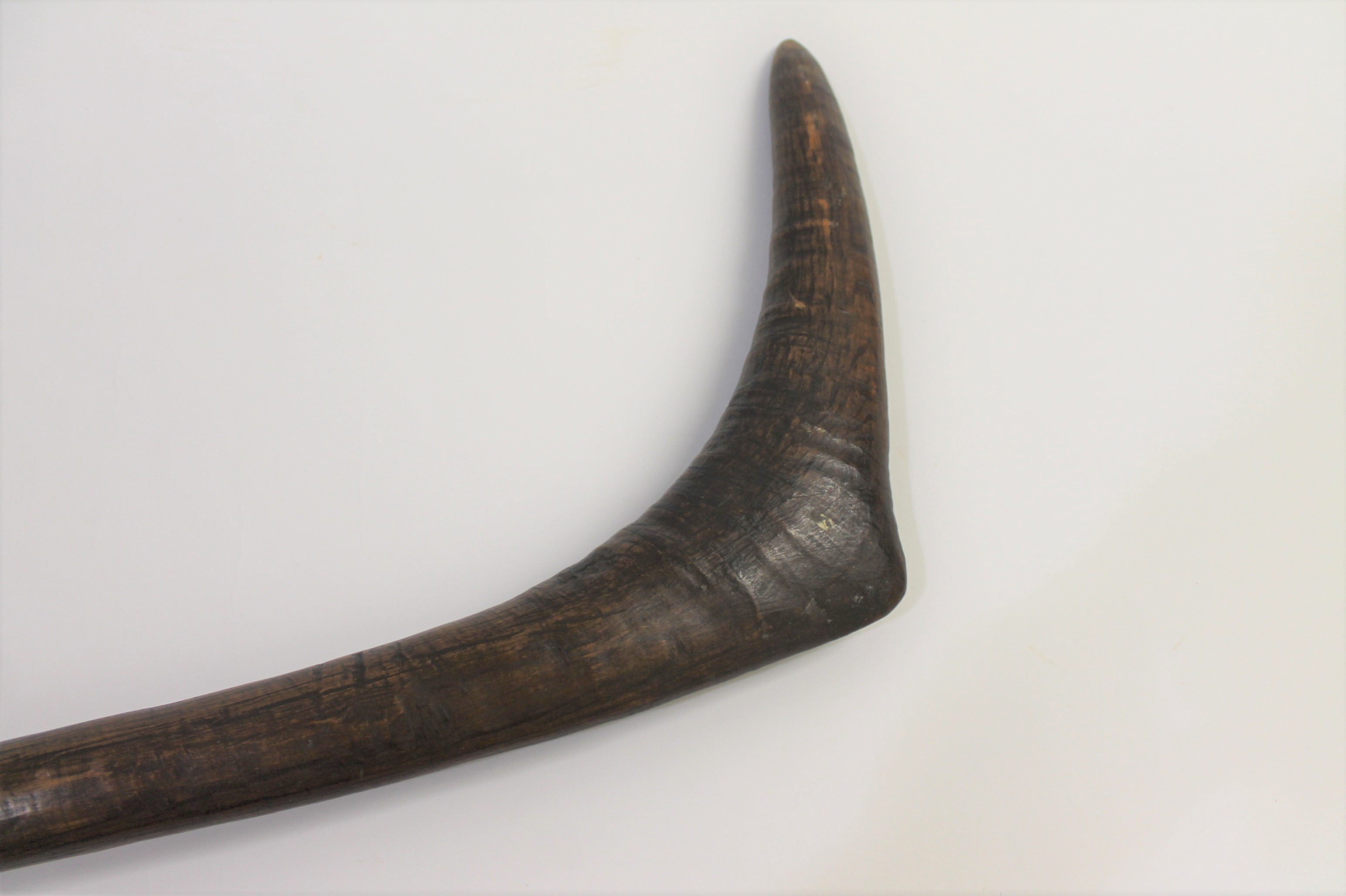 Images for 2282988. ABORIGINAL LEANGLE THROWING CLUB. - Auctionet