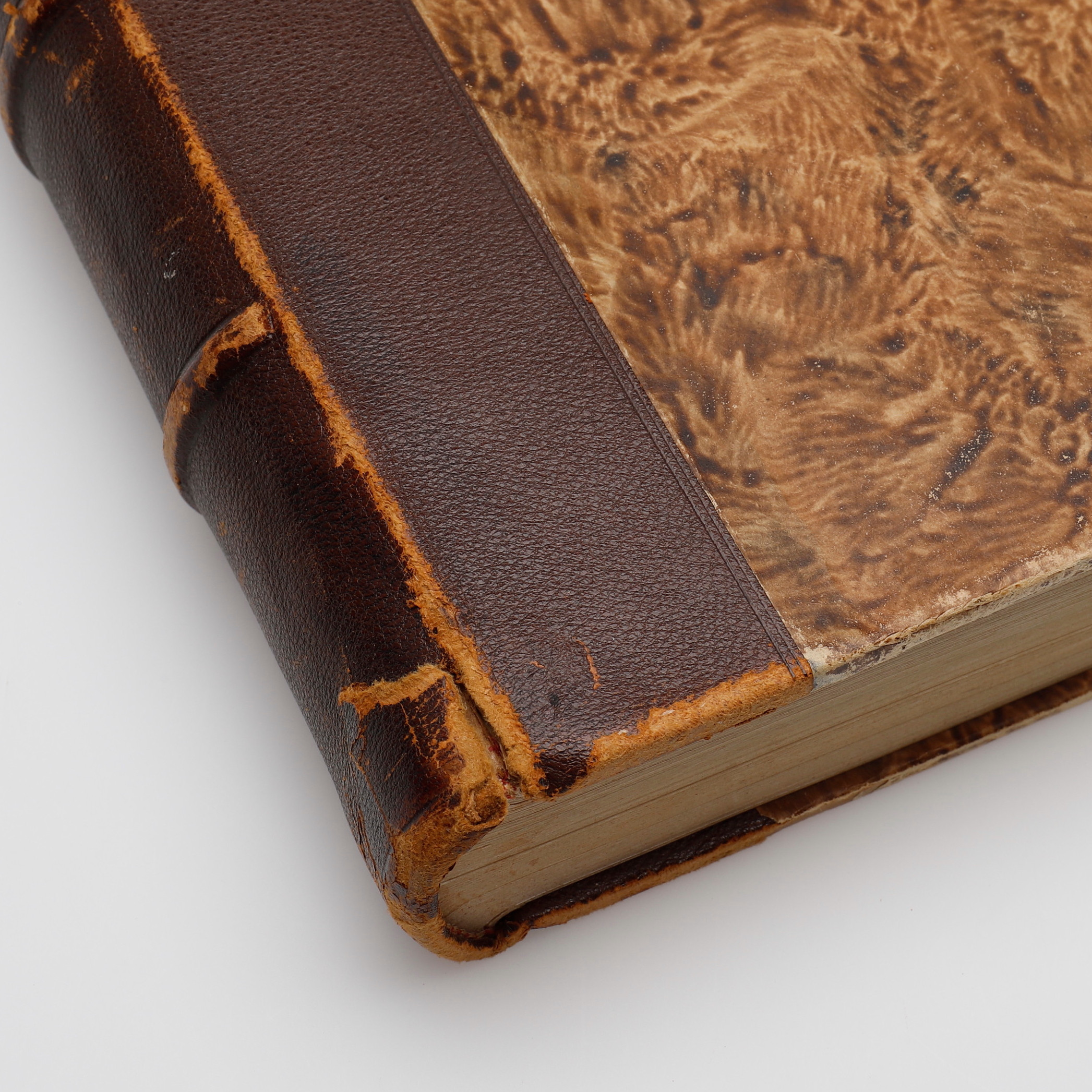 Images for 2296648. RACE BIOLOGY. THE RACIAL CHARACTERS OF THE SWEDISH ...