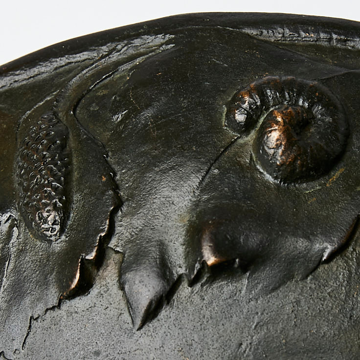 Images for 2316202. LISA OUCHTERLONY. bowl, bronze, Art Nouveau, Herman ...