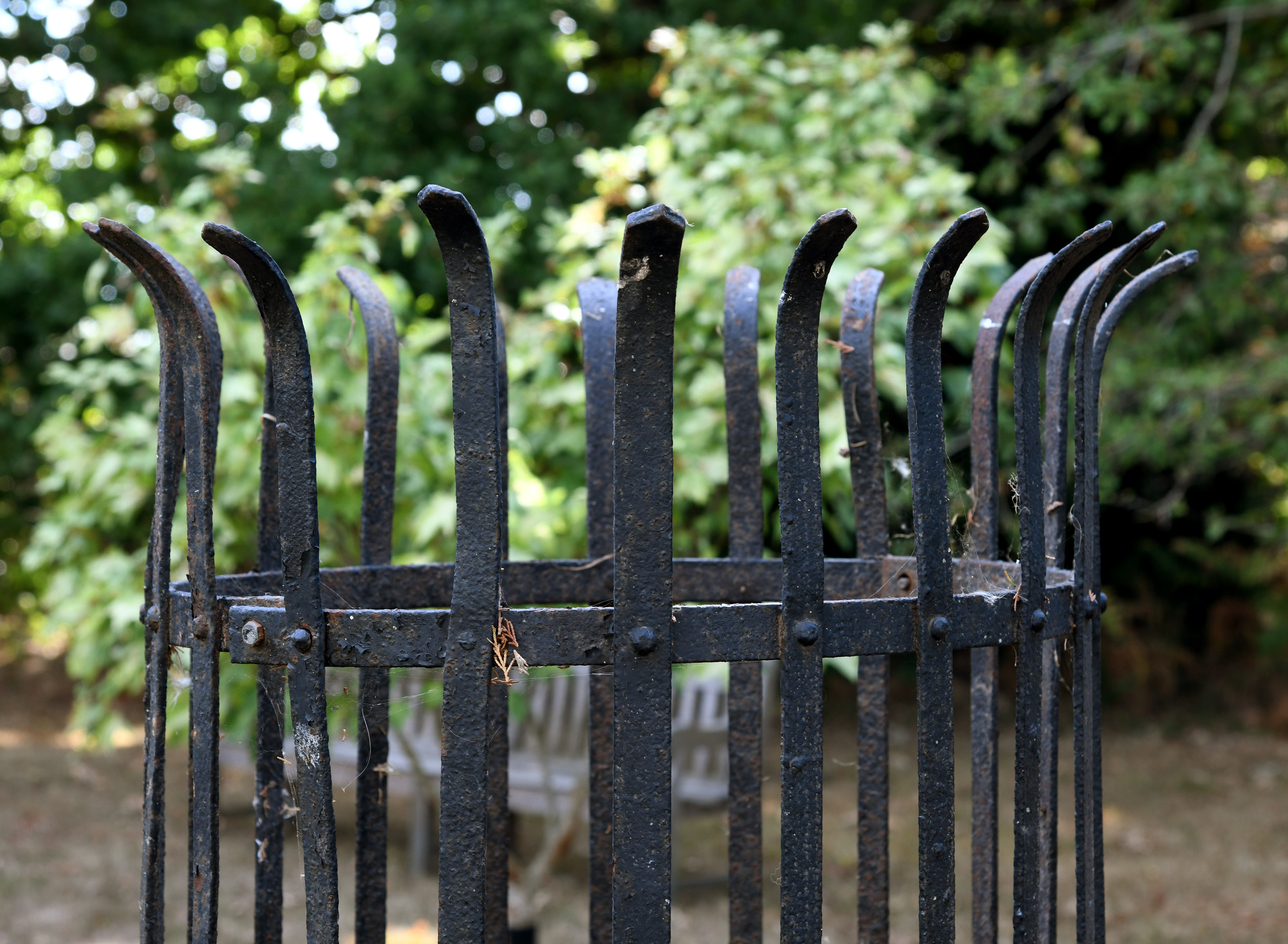 Images for 2391546. A PAIR OF WROUGHT IRON TREE GUARDS. - Auctionet