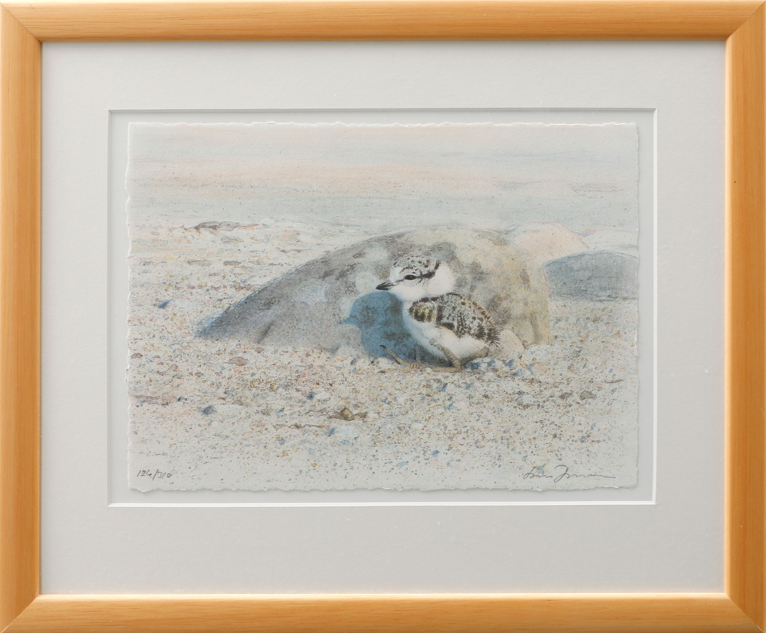 Images for 2416113. LARS JONSSON. Seagull. Color lithograph, signed and ...