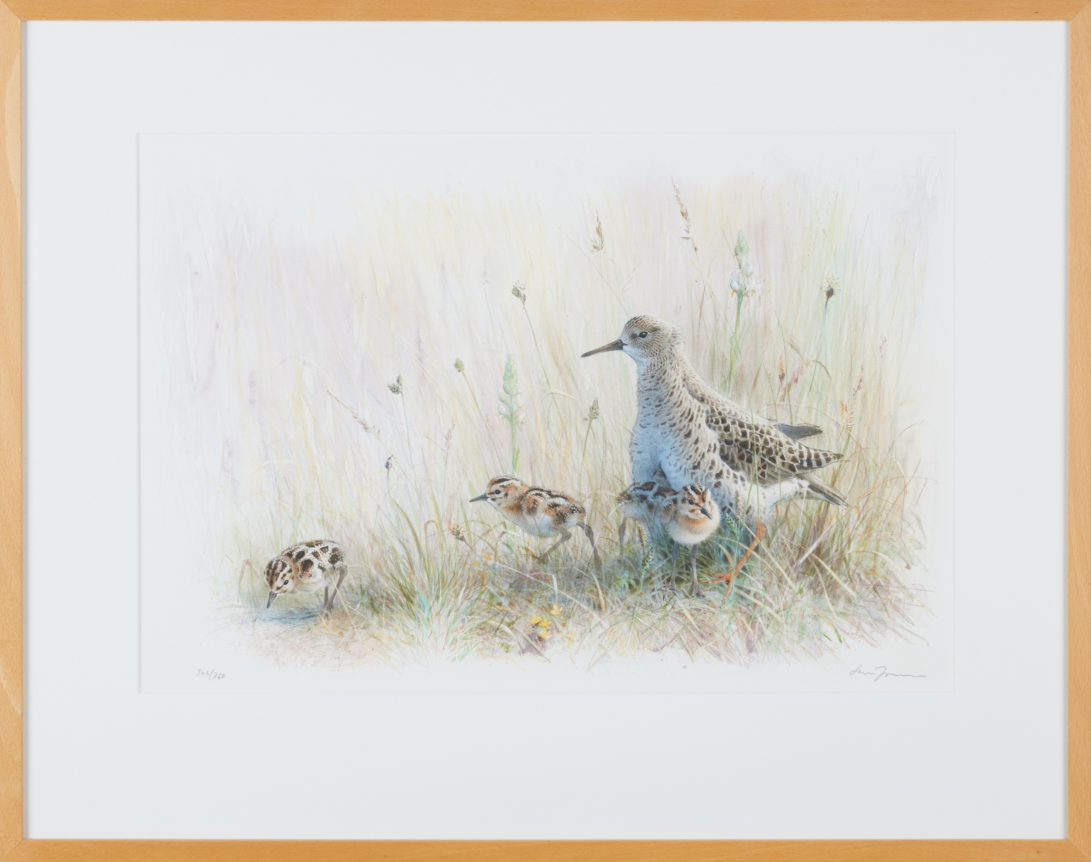 LARS JONSSON. Fågel med ungar, färglitografi, signerad Lars Jonsson ...