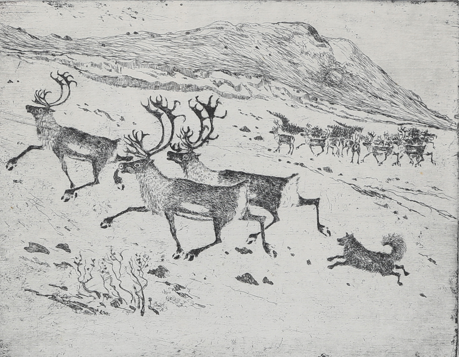 LARS PIRAK. etsning, numrerad 175/200, "Tre Renar, signerad. Konst ...