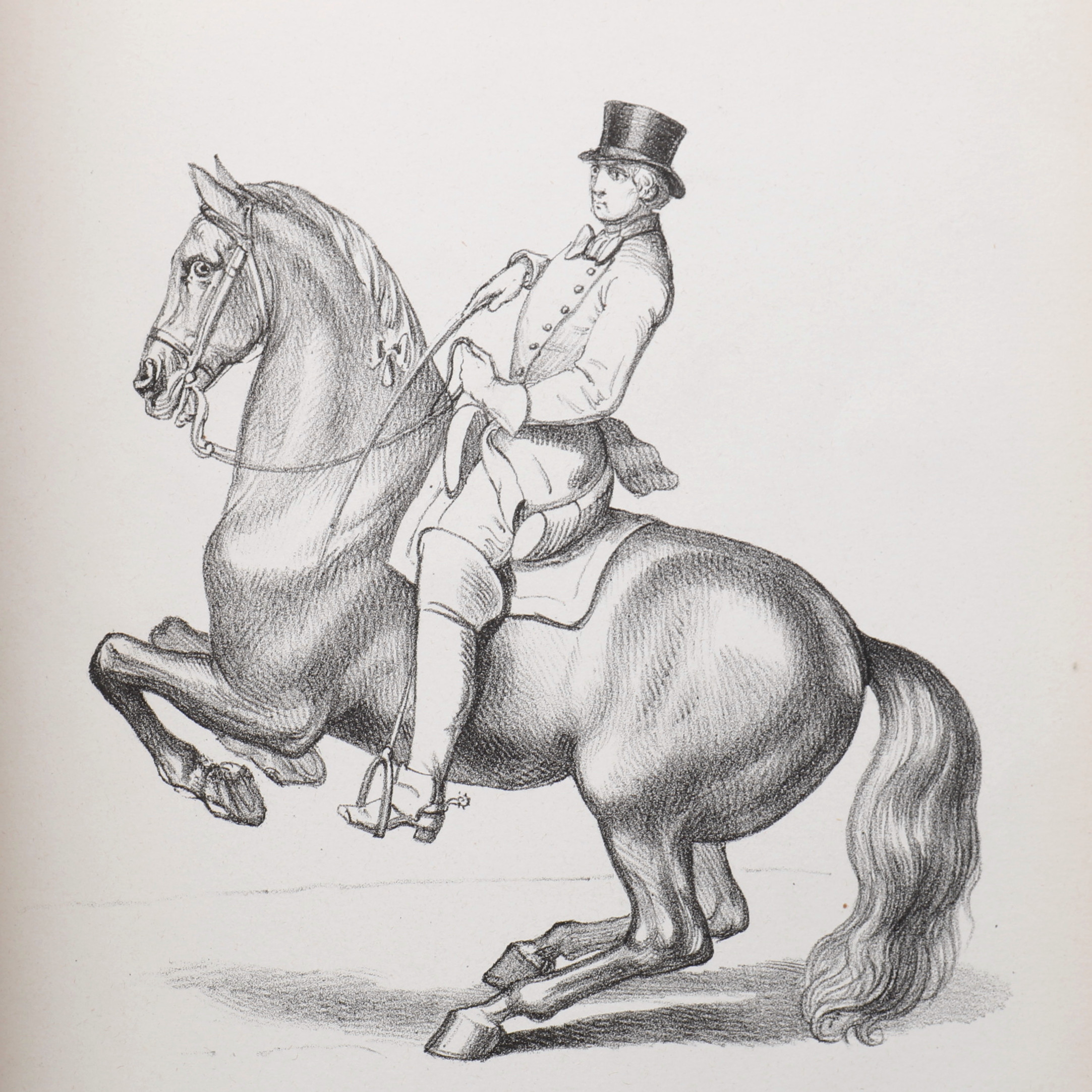 Images for 2573435. HIPPOLOGY. TWO WORKS FROM THE 19TH CENTURY WITH ...