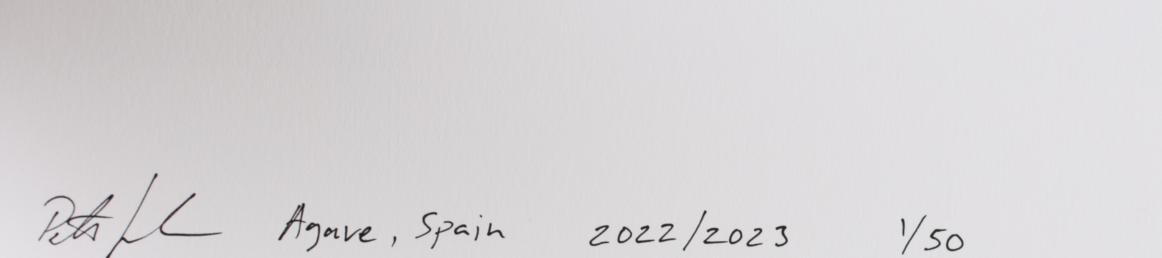 Bilder för 2672020. PETER JANHANS. Fotografi, "Agave, Spain", daterad ...