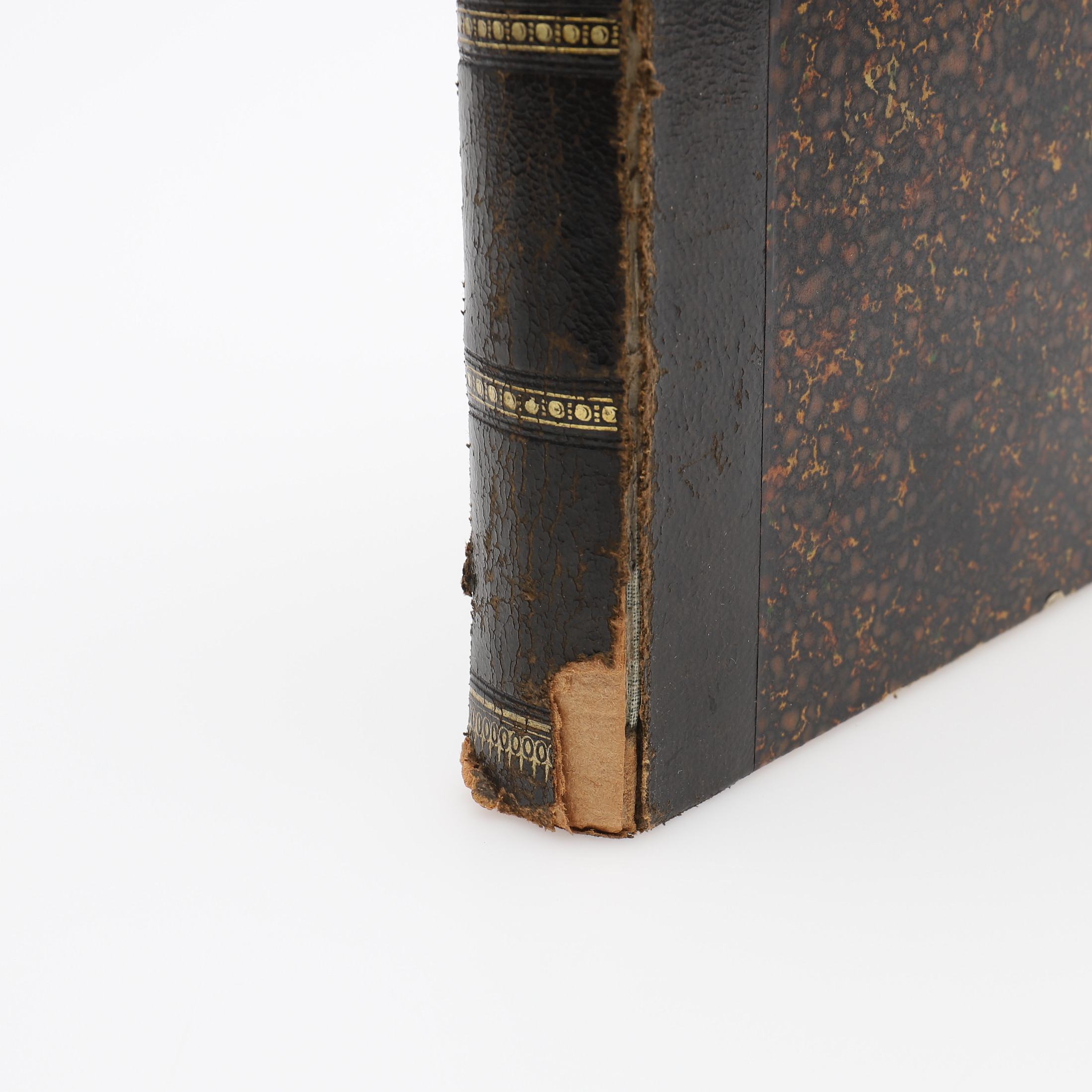 Images for 2704325. CHARLES JOHN ANDERSSON'S LAKE NGAMI 1862. RESEARCH ...