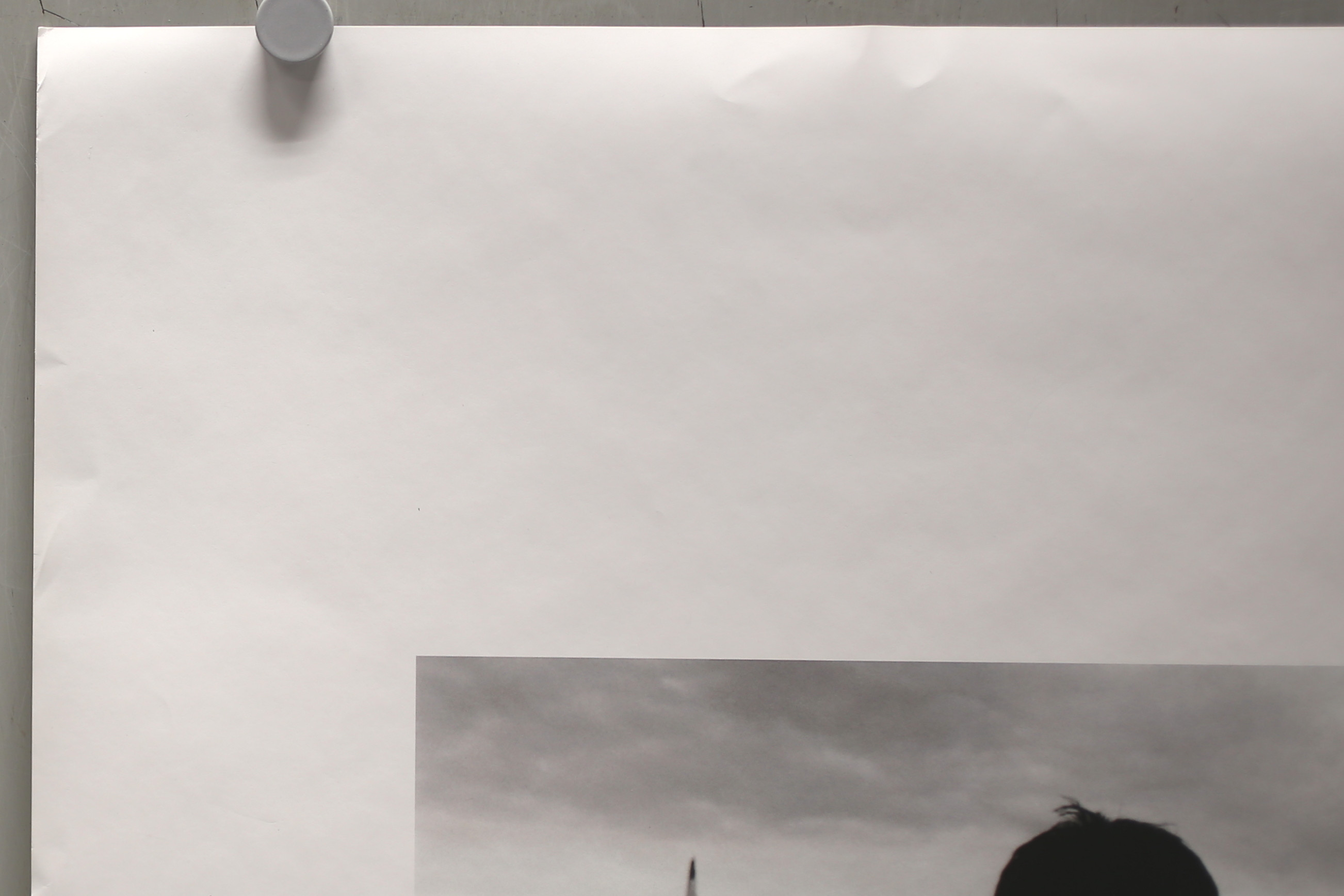 Imágenes para 2714477. POSTERS/PLANSCHER, 3 piezas, Malmström & Hoffman ...