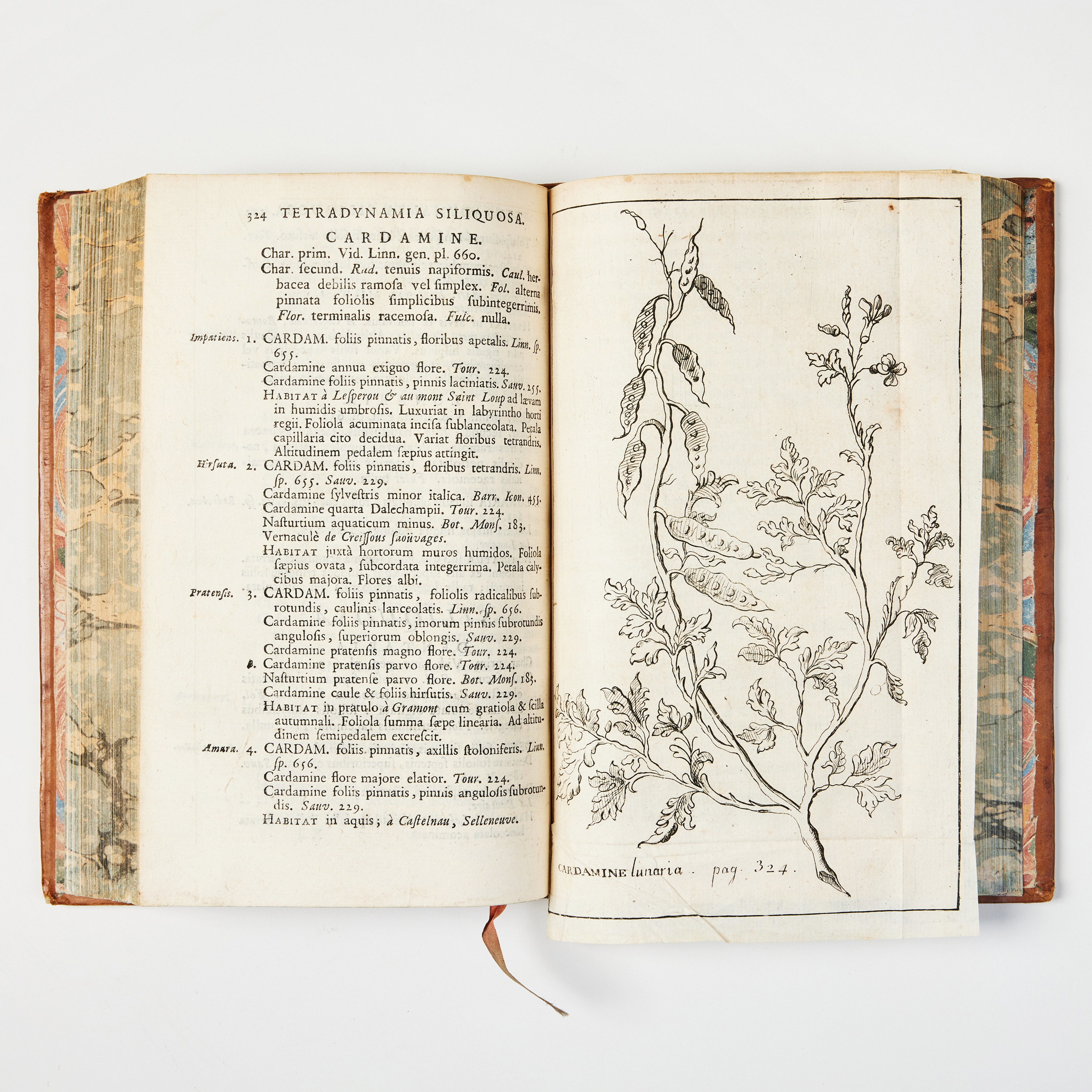Images for 2751960. GOUAN: HORTUS REGIUS MONSPELIENSIS 1762, THE FIRST ...
