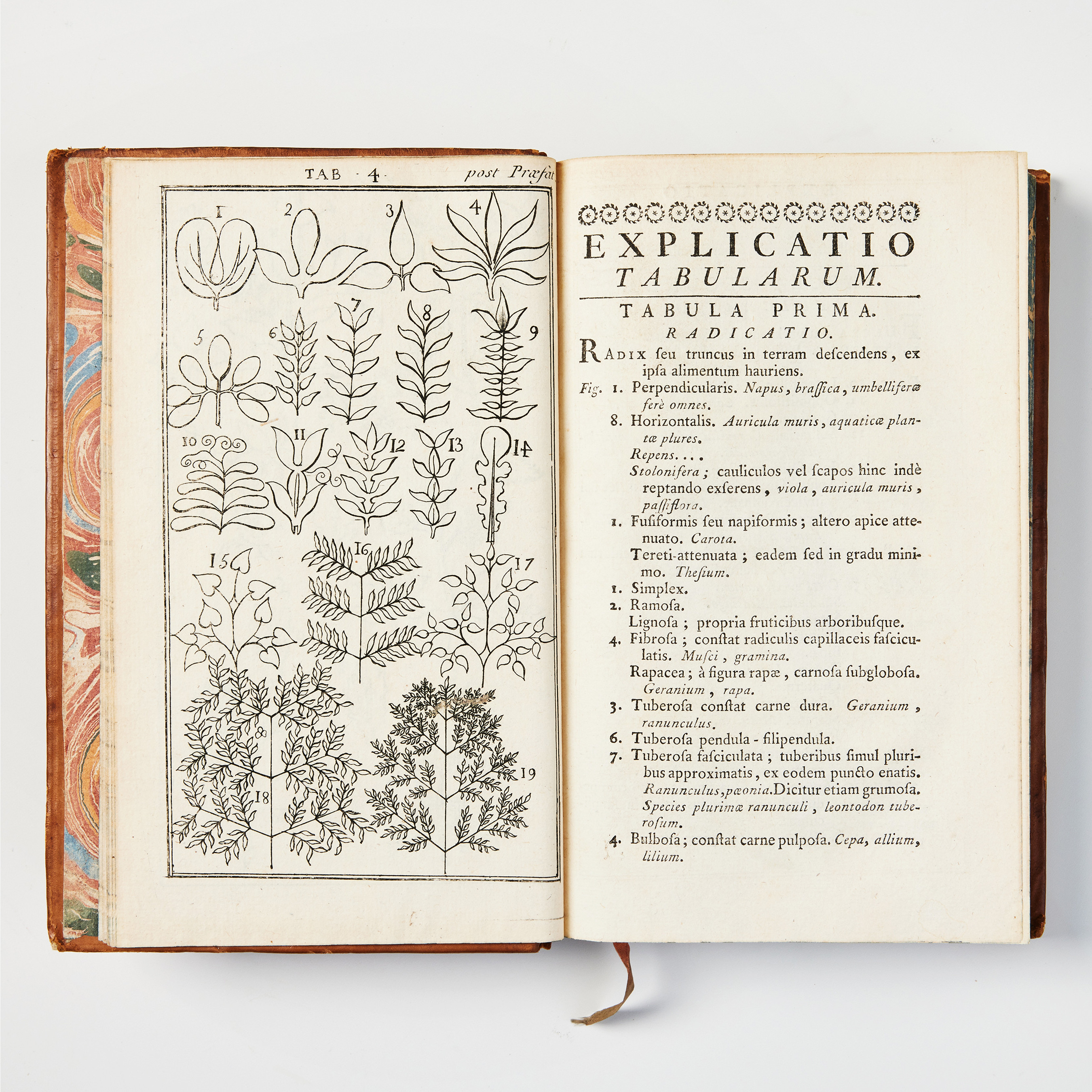 Images for 2751960. GOUAN: HORTUS REGIUS MONSPELIENSIS 1762, THE FIRST ...
