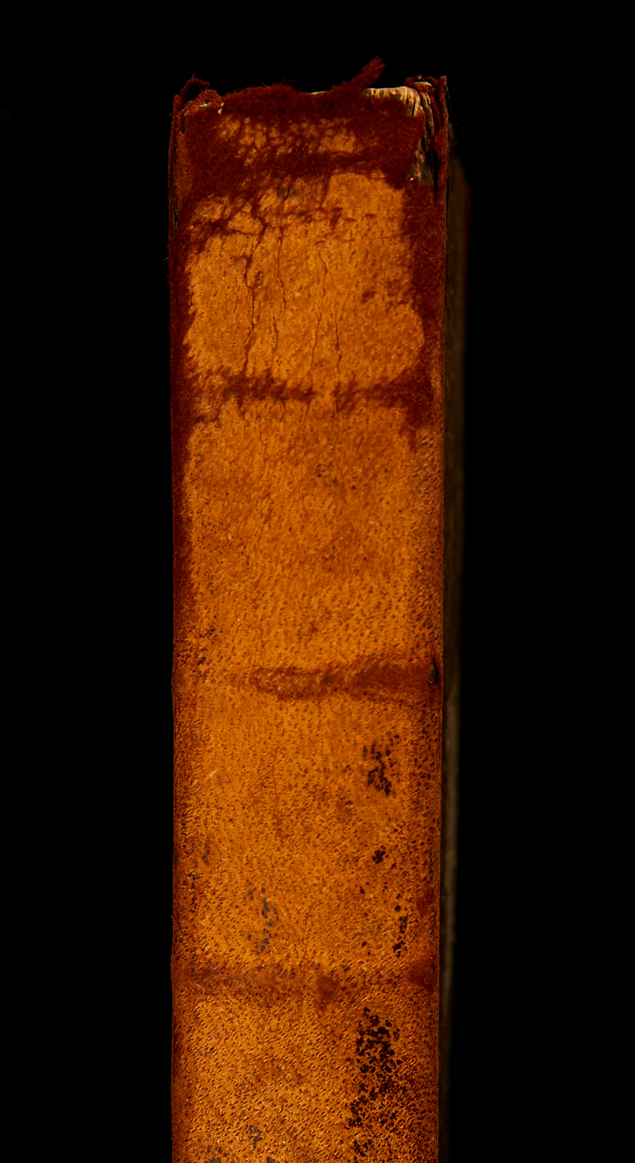 Images for 2763691. JOHN MILTON, "Paradise Lost", first edition from ...