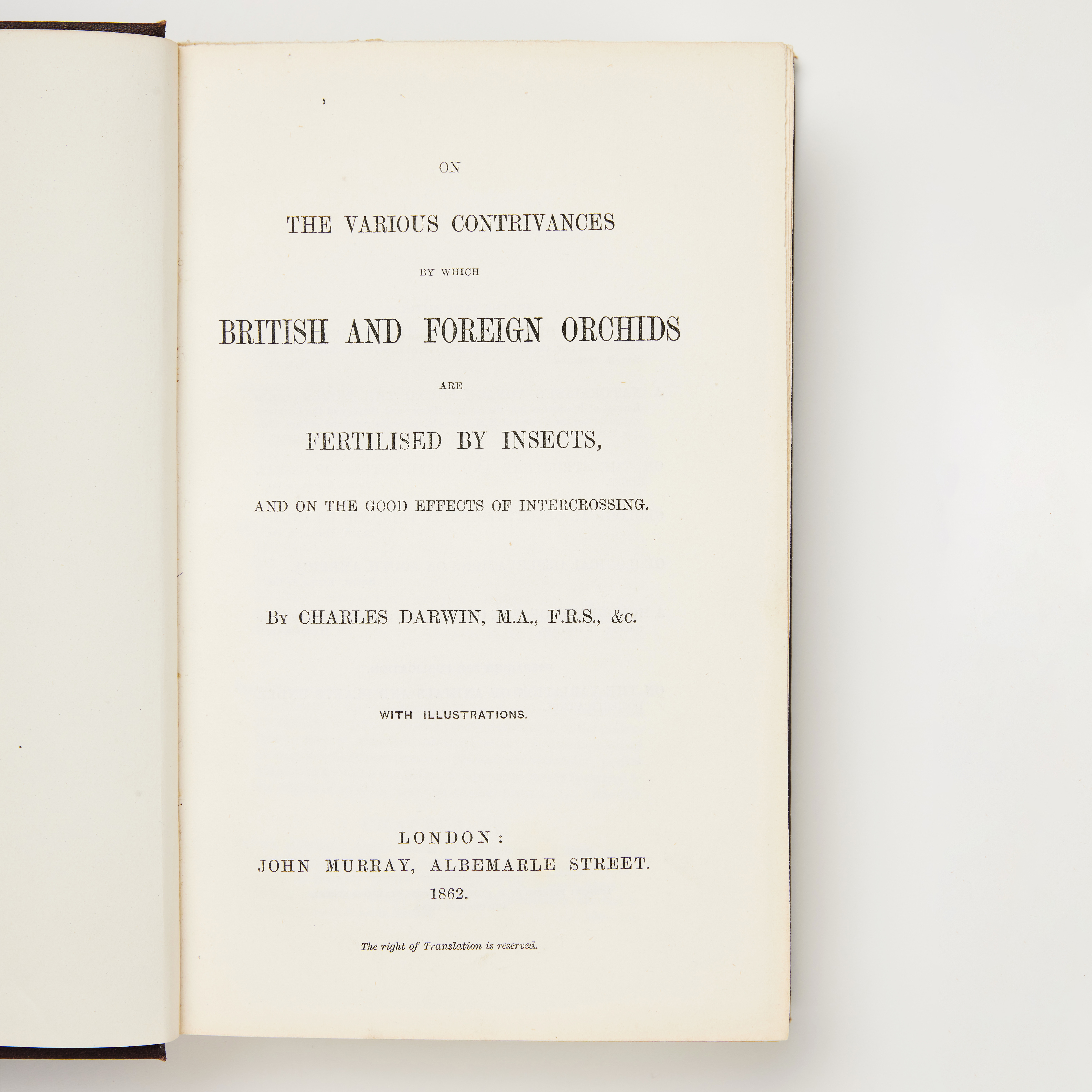 Images for 2765671. DARWIN ON THE SEXUAL STRUCTURES OF ORCHIDS AND THE ...