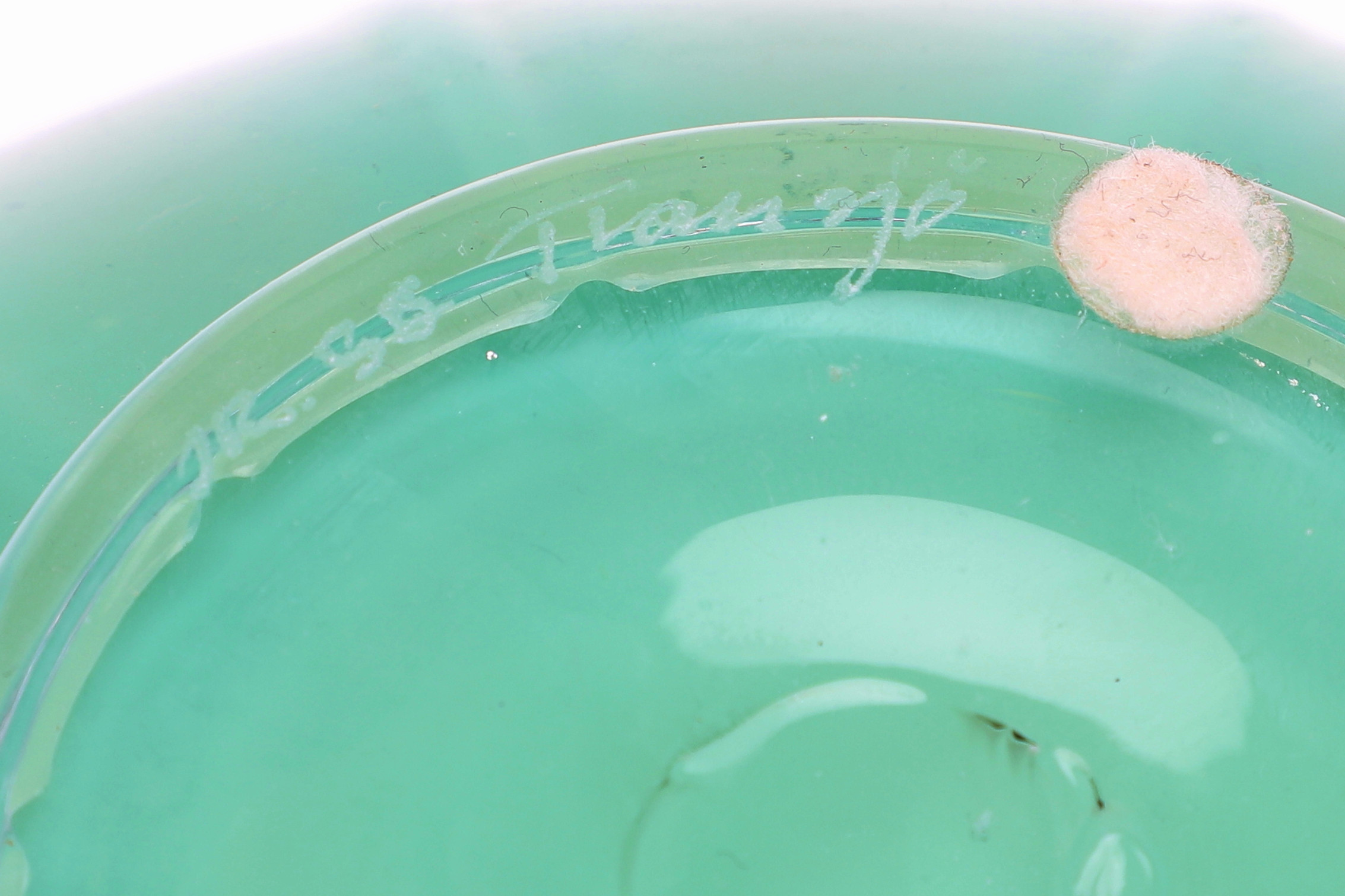 Images for 2773610. JAN-ERIK RITZMAN. and SVEN-ÅKE CARLSSON, bowl, art ...