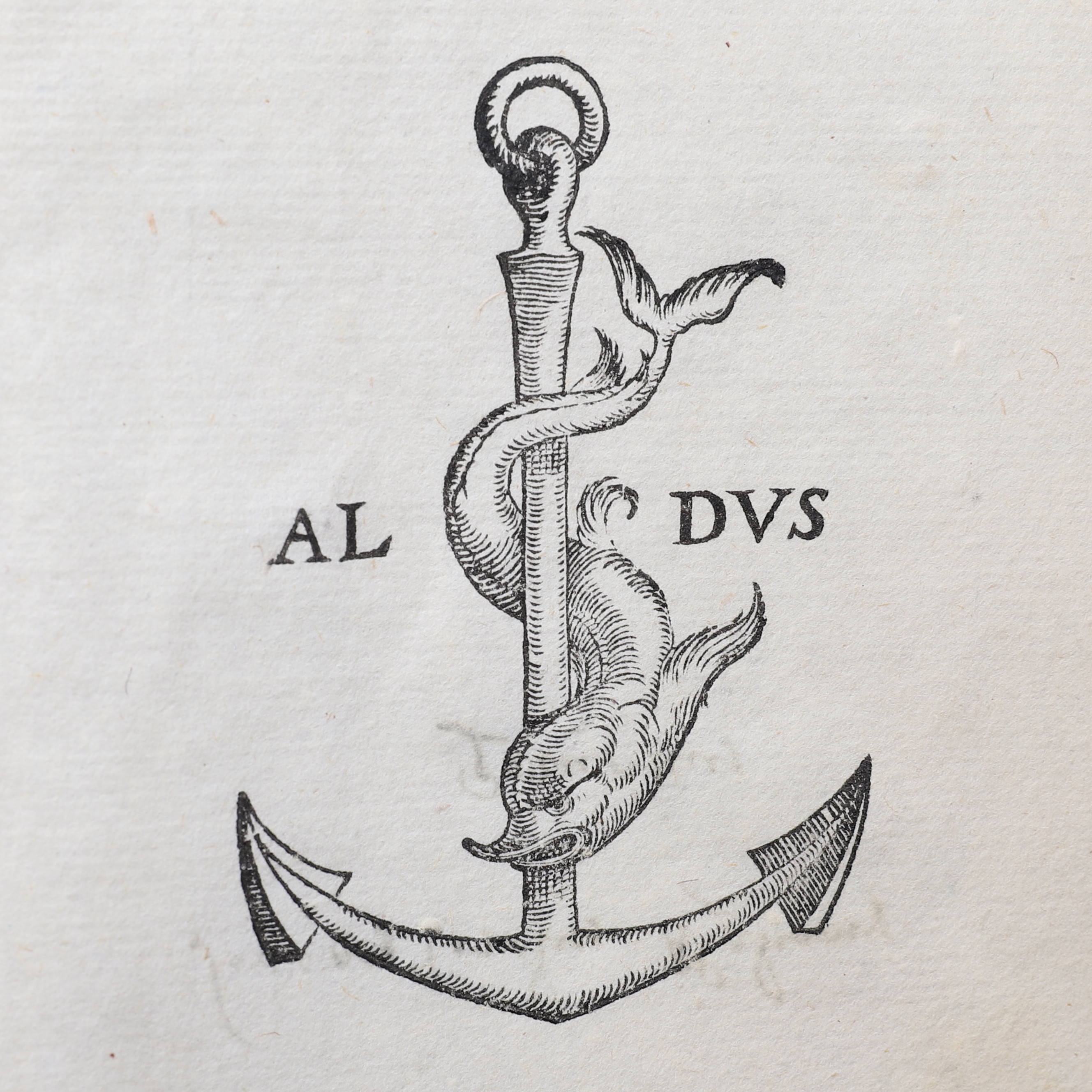 Images for 2786597. JULIUS CESAR'S COMMENTARIORUM WITH WOODCUT ...