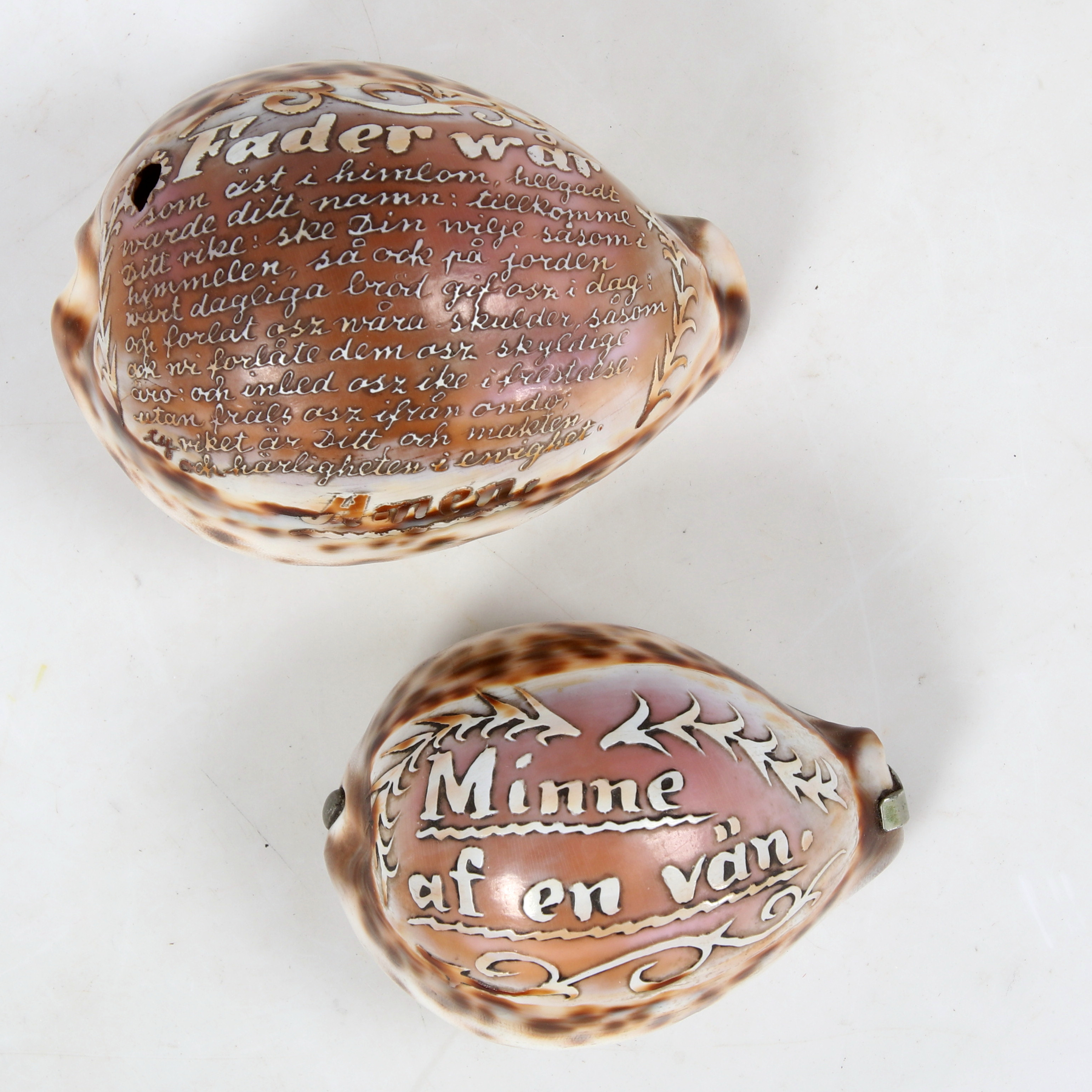 Images for 2792123. SJÖMANSARBETEN 2 pcs, engraved leopard shells ...