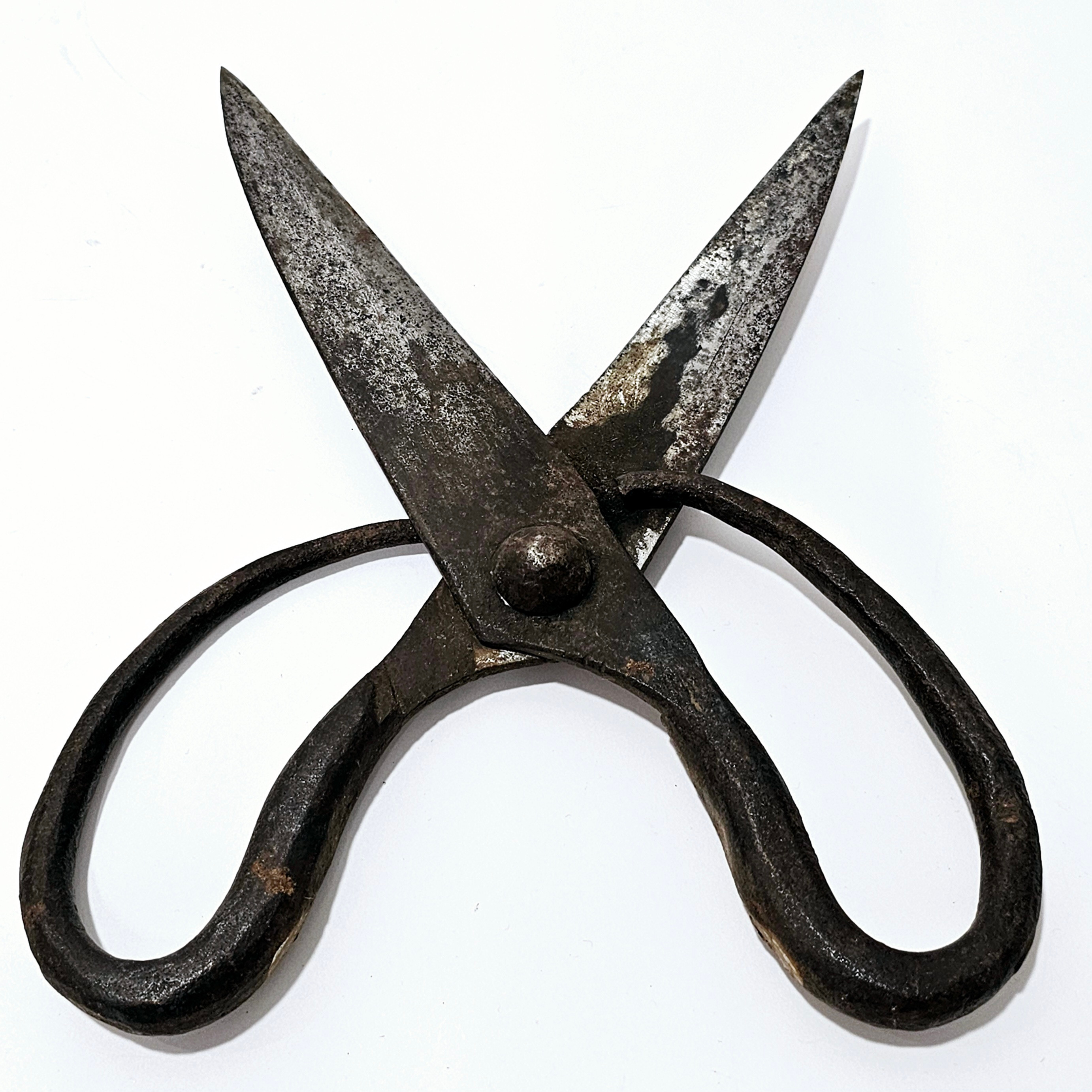 Images for 2801062. WROUGHT IRON SCISSORS WITH RIVETS. XIX CENTURY ...