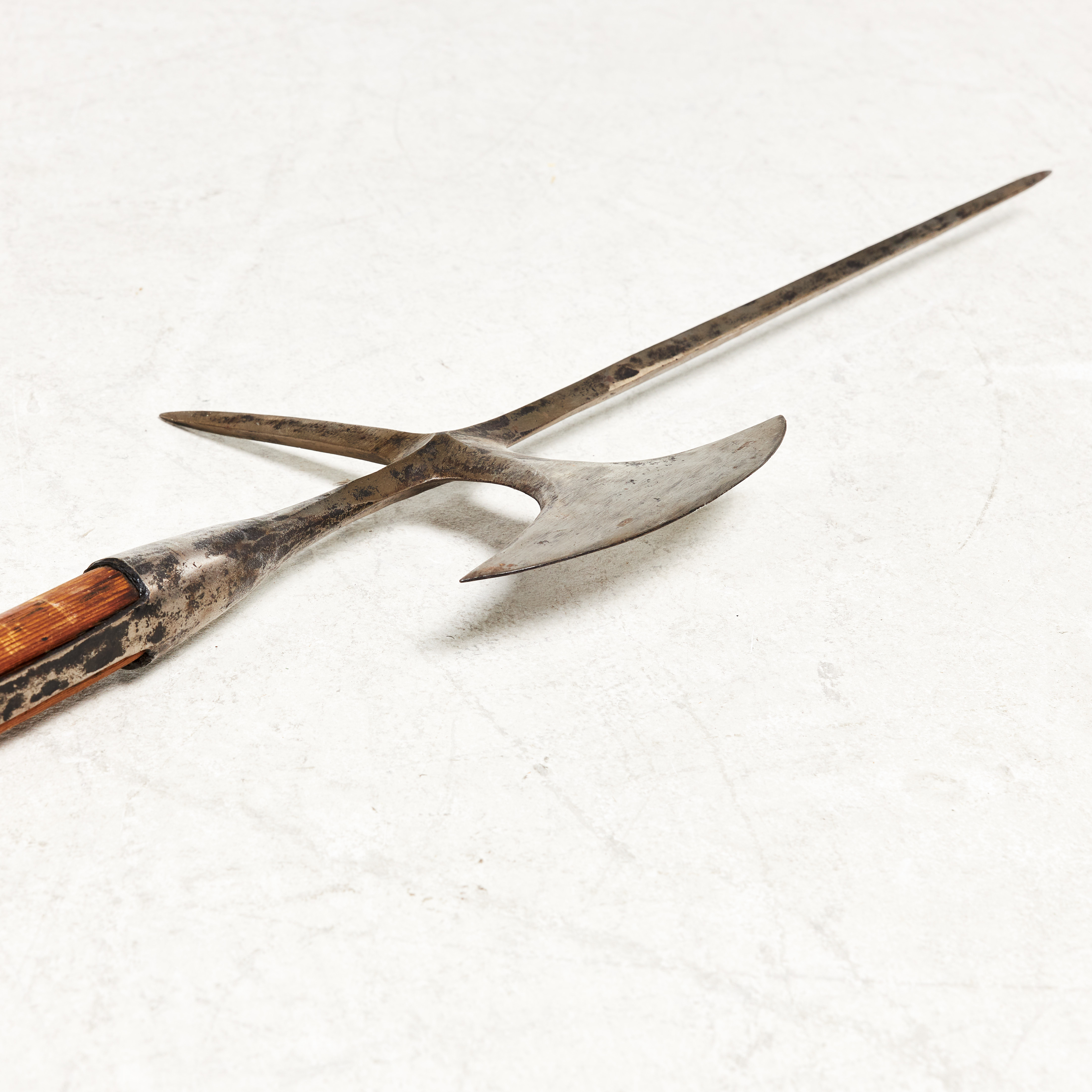 Bilder för 2866310. HILLEBARD, svensk, kallad m/1697, järnskodd stång ...