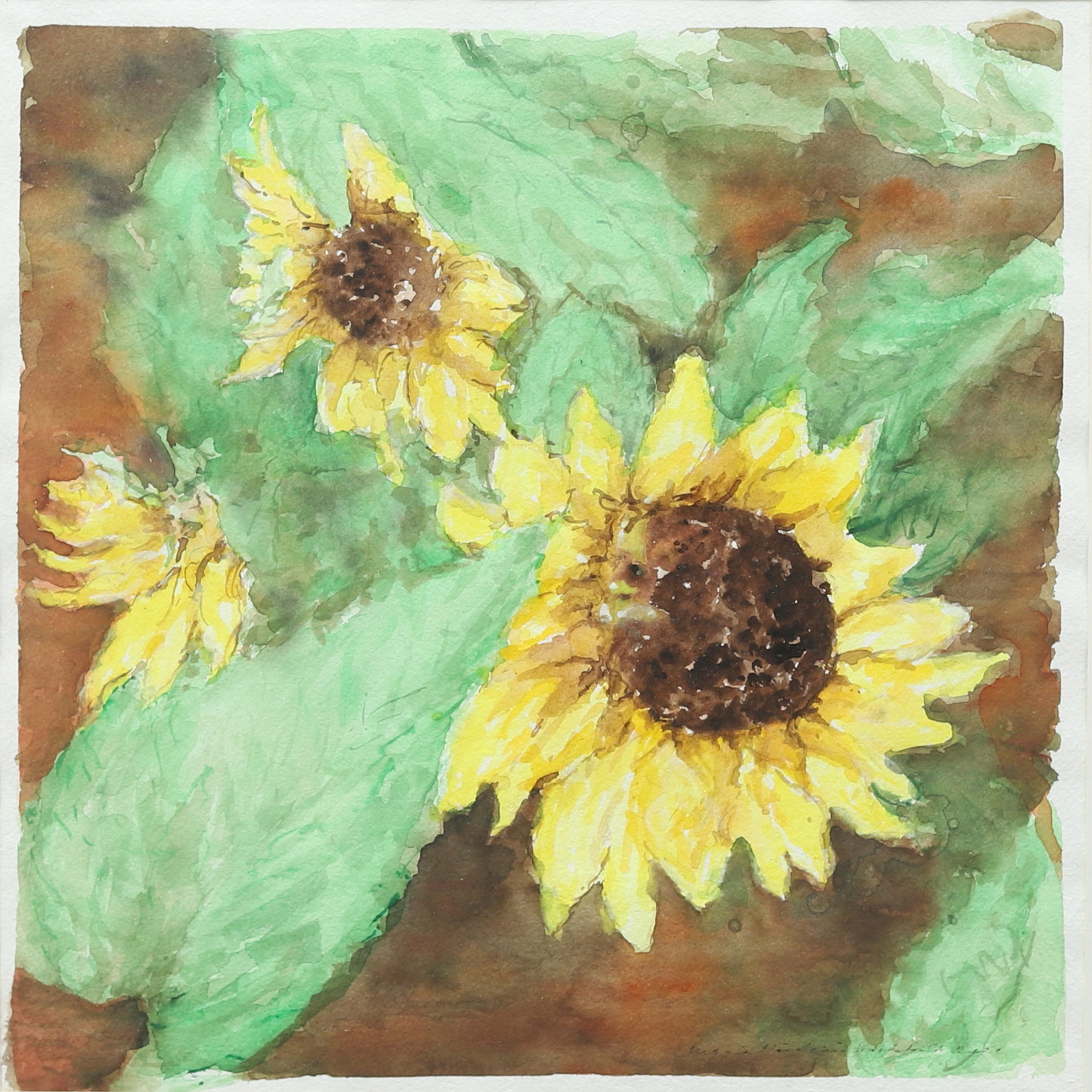 URSULA HÄRDELIN KARLSTEDT (1937-2022). Solroser, akvarell, signerad ...