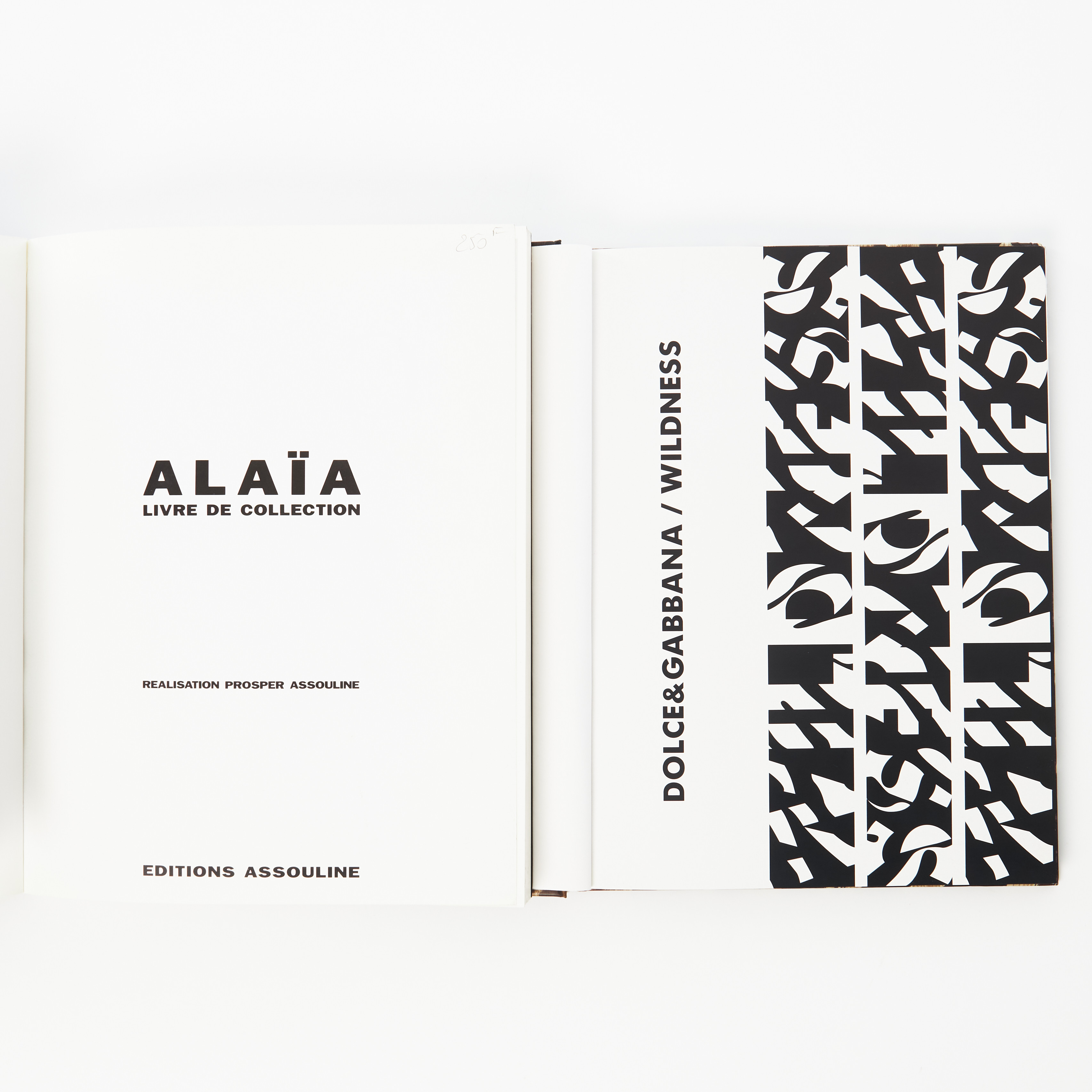 Images for 3065428. 2 PHOTO BOOKS, ALAÏA “LIVRE DE COLLECTION ETE 1992 ...