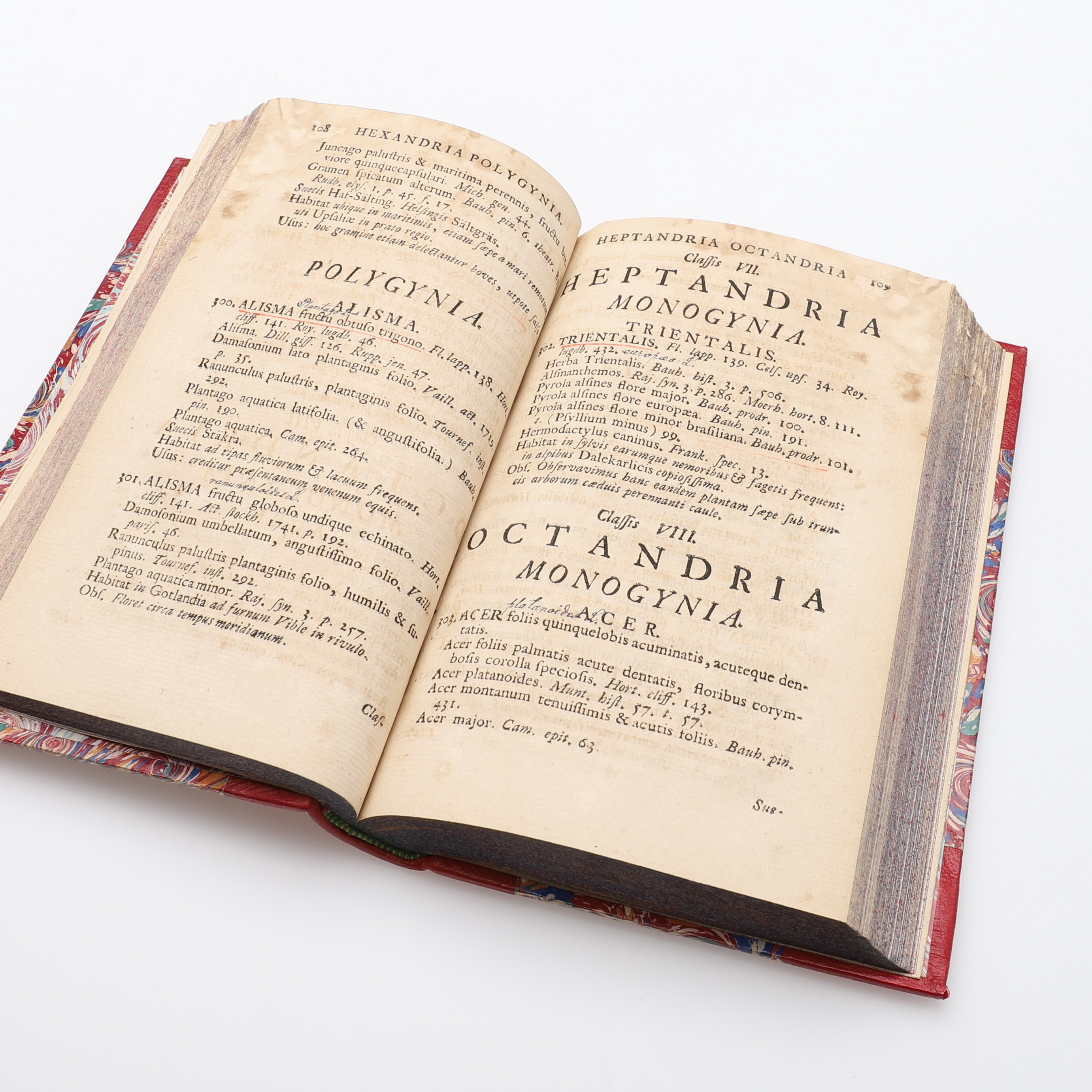 Images for 3068203. BOTANY.TWO SPECIMENS OF CARL VON LINNÉ'S FLORA ...