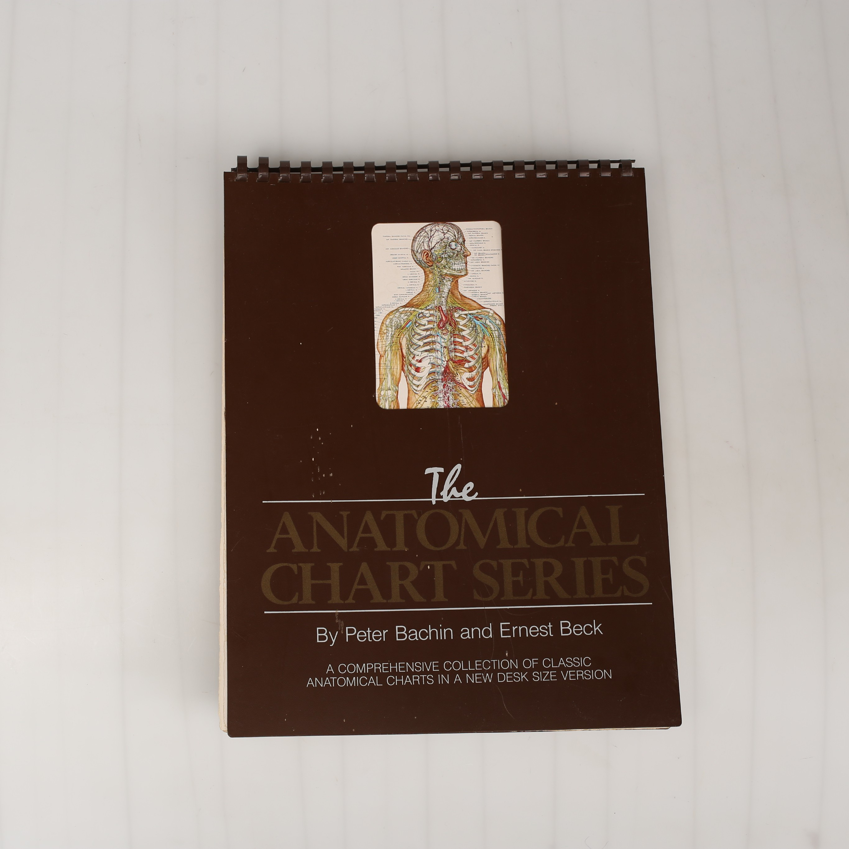 Images for 3139406. ALMANAC with 28 pictures of the human anatomy ...