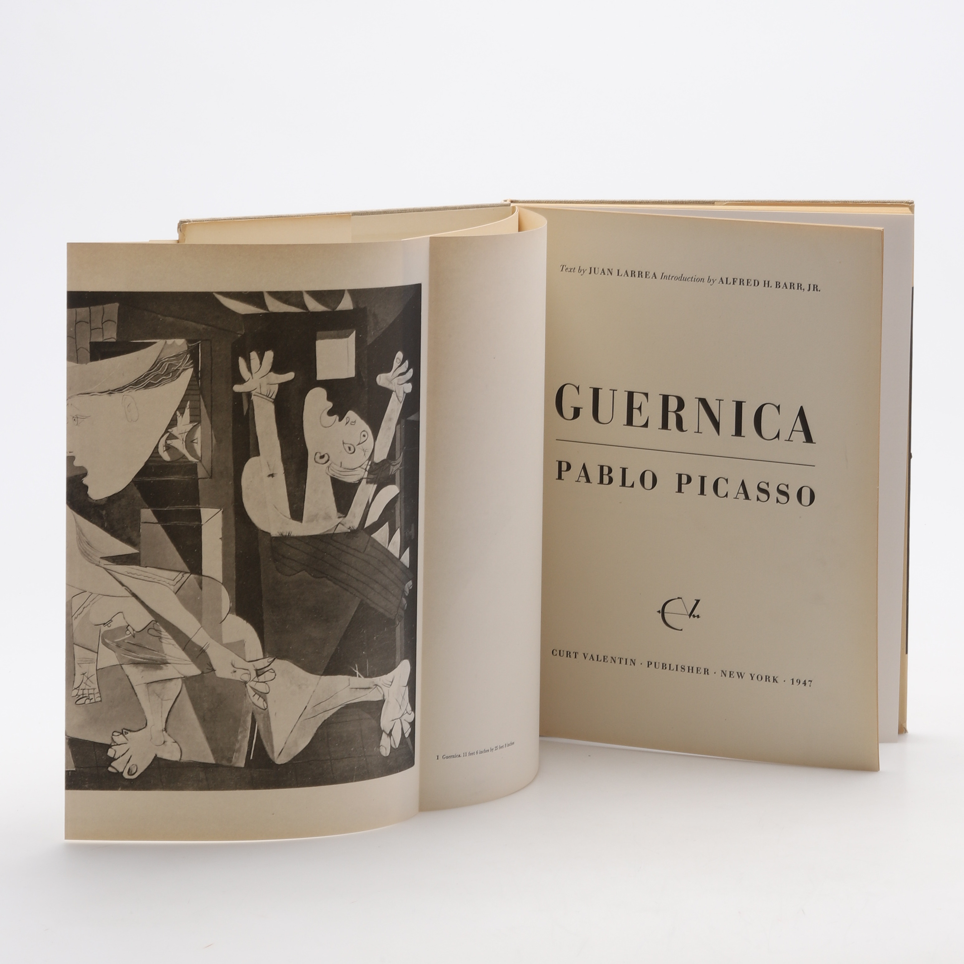 Images for 3264645. PABLO PICASSO. THE RICHLY ILLUSTRATED BOOK ABOUT ...