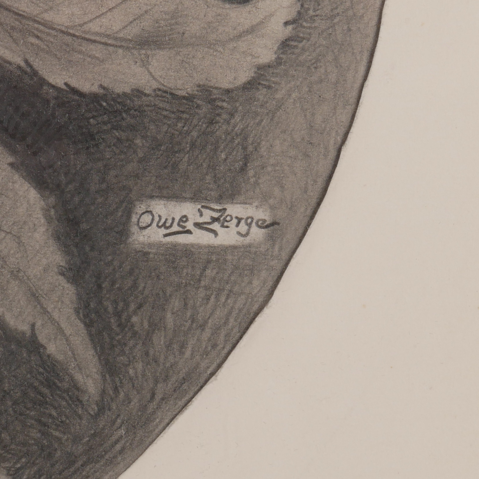 Images for 3341328. OWE ZERGE. Flowers, drawing, signed Owe Zerge ...