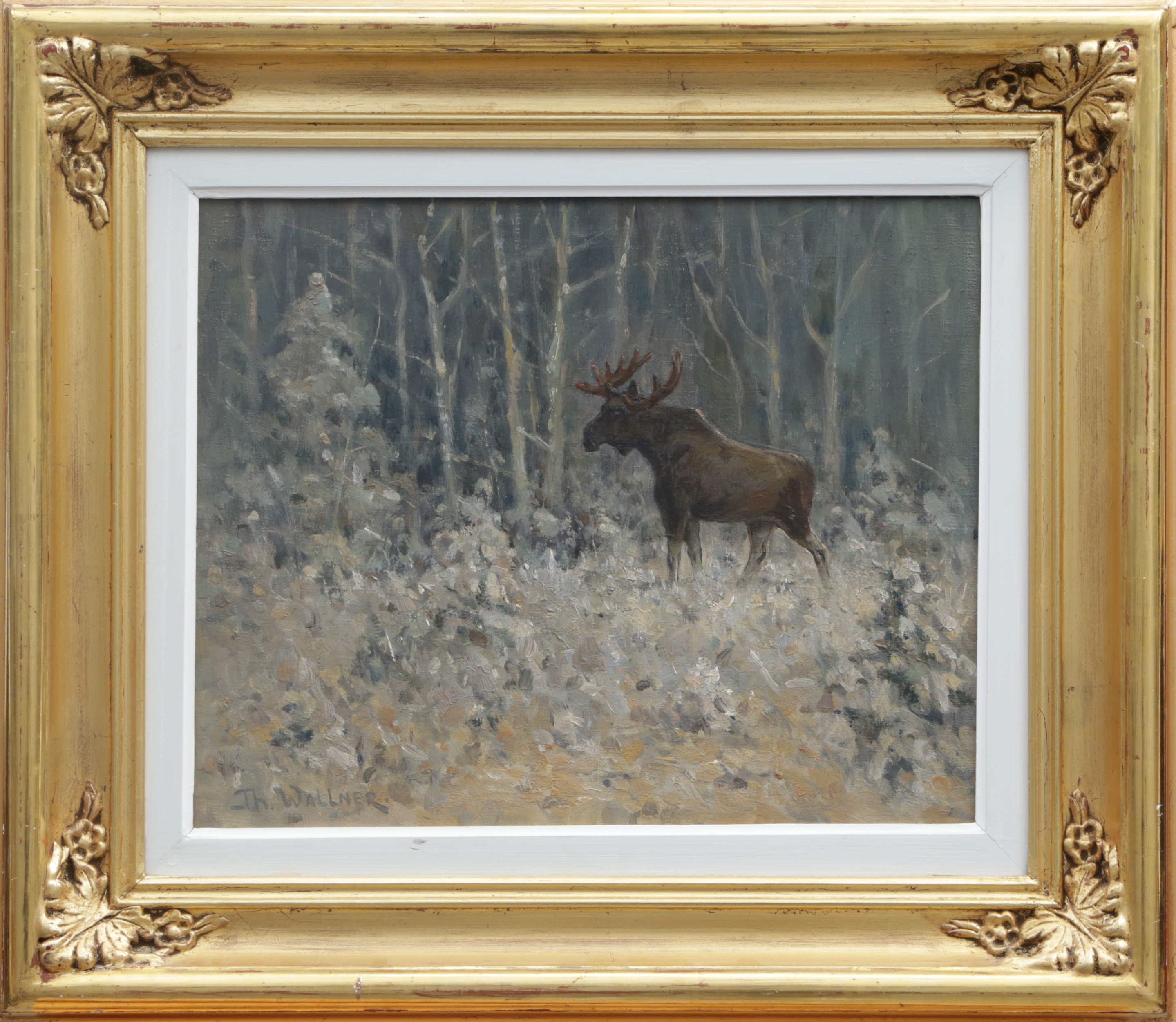 THURE WALLNER. OLJA, på duk, älgmotiv, signerad. Konst - Måleri - Auctionet