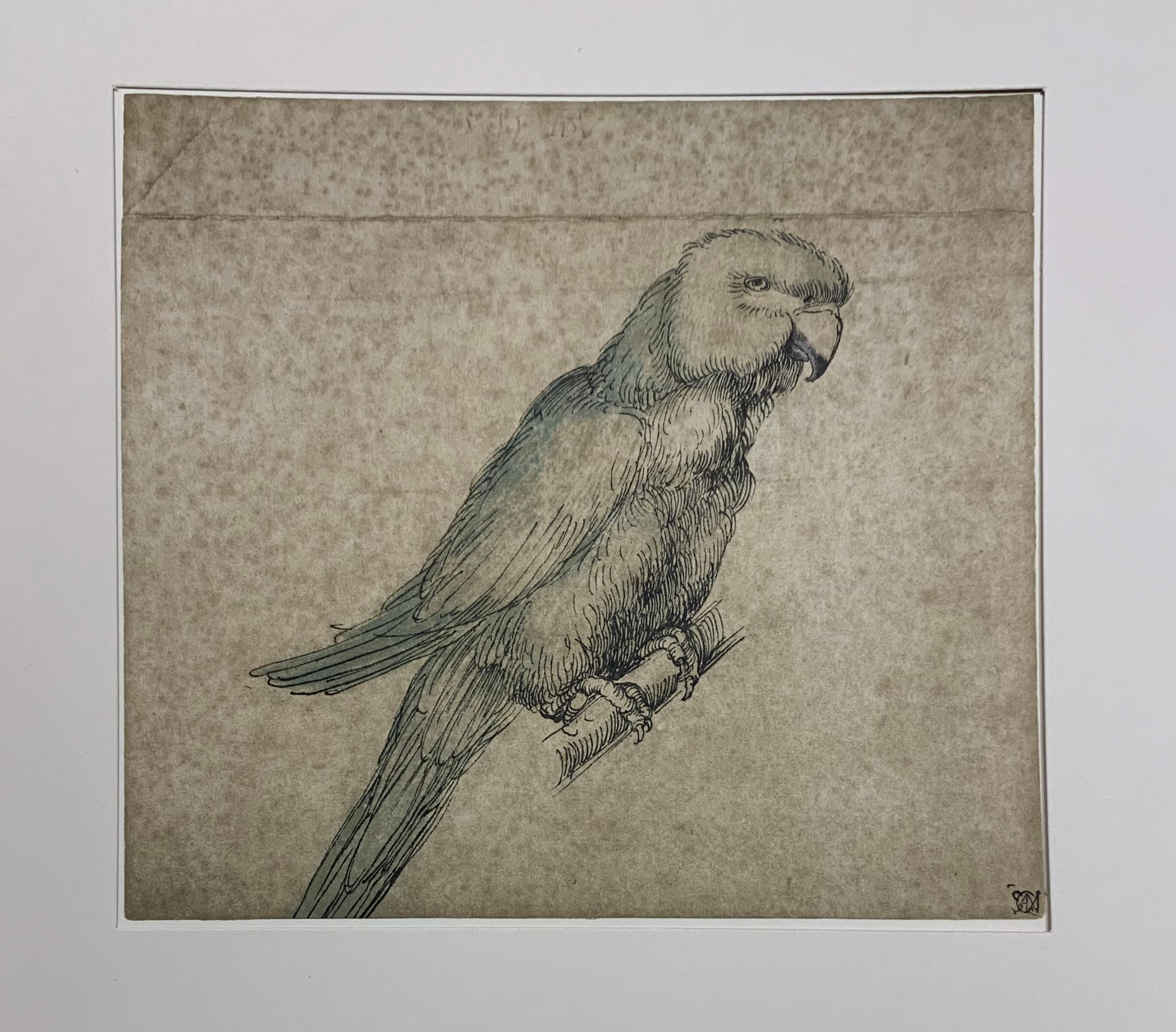 Images for 4013931. Edition of twelve drawings of Dürer by Michele ...
