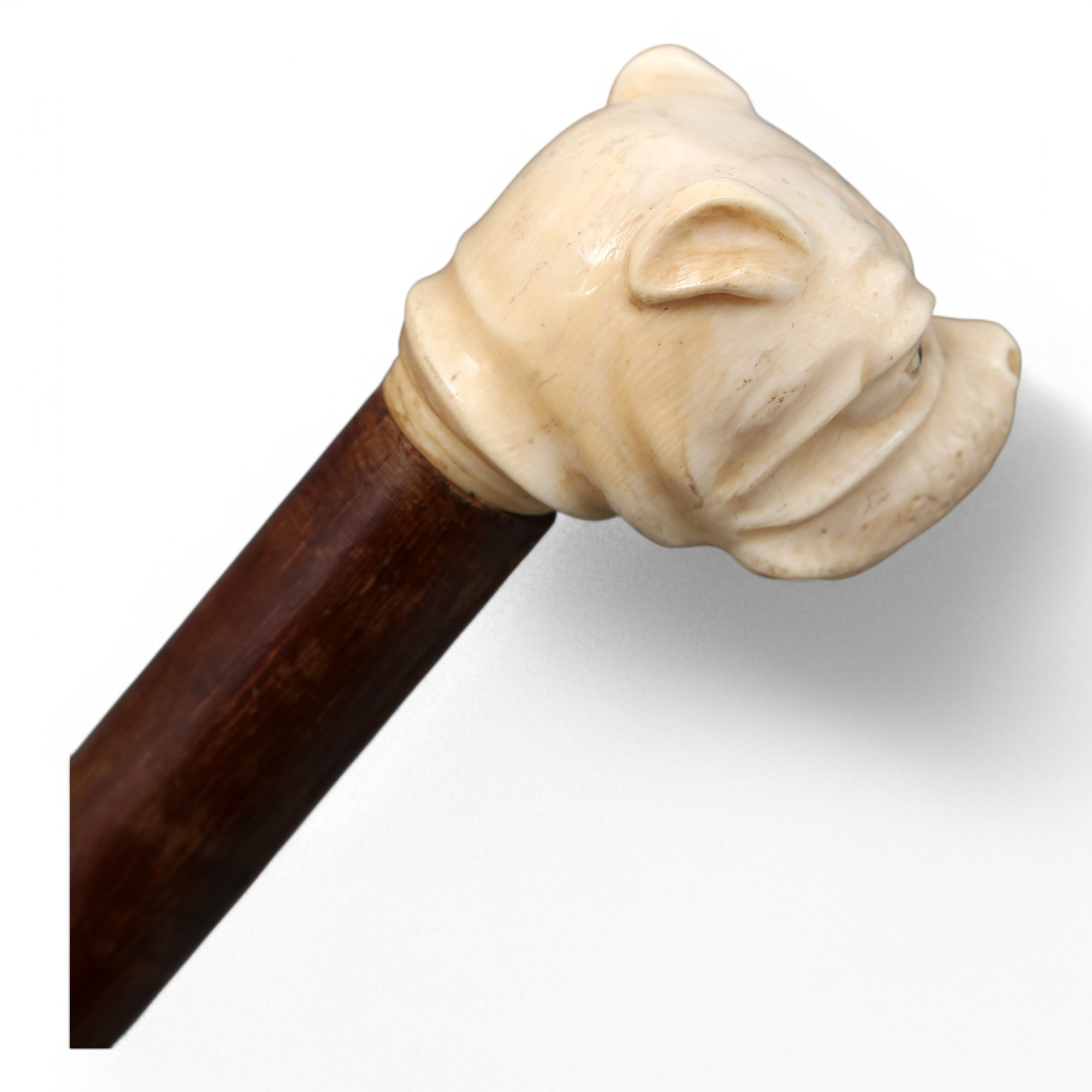 Images for 4087675. Cane with bone grip in the shape of a boxer head ...