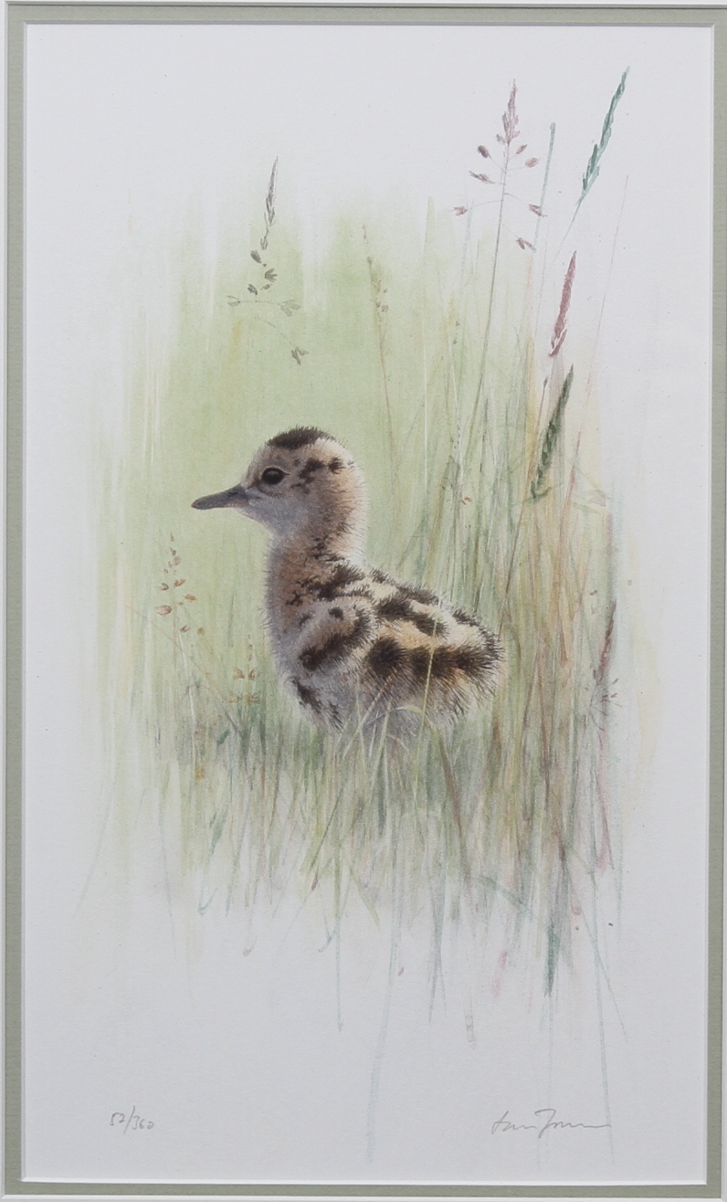 Images for 44162. LARS JONSSON. Lithograph, signed and numbered ...