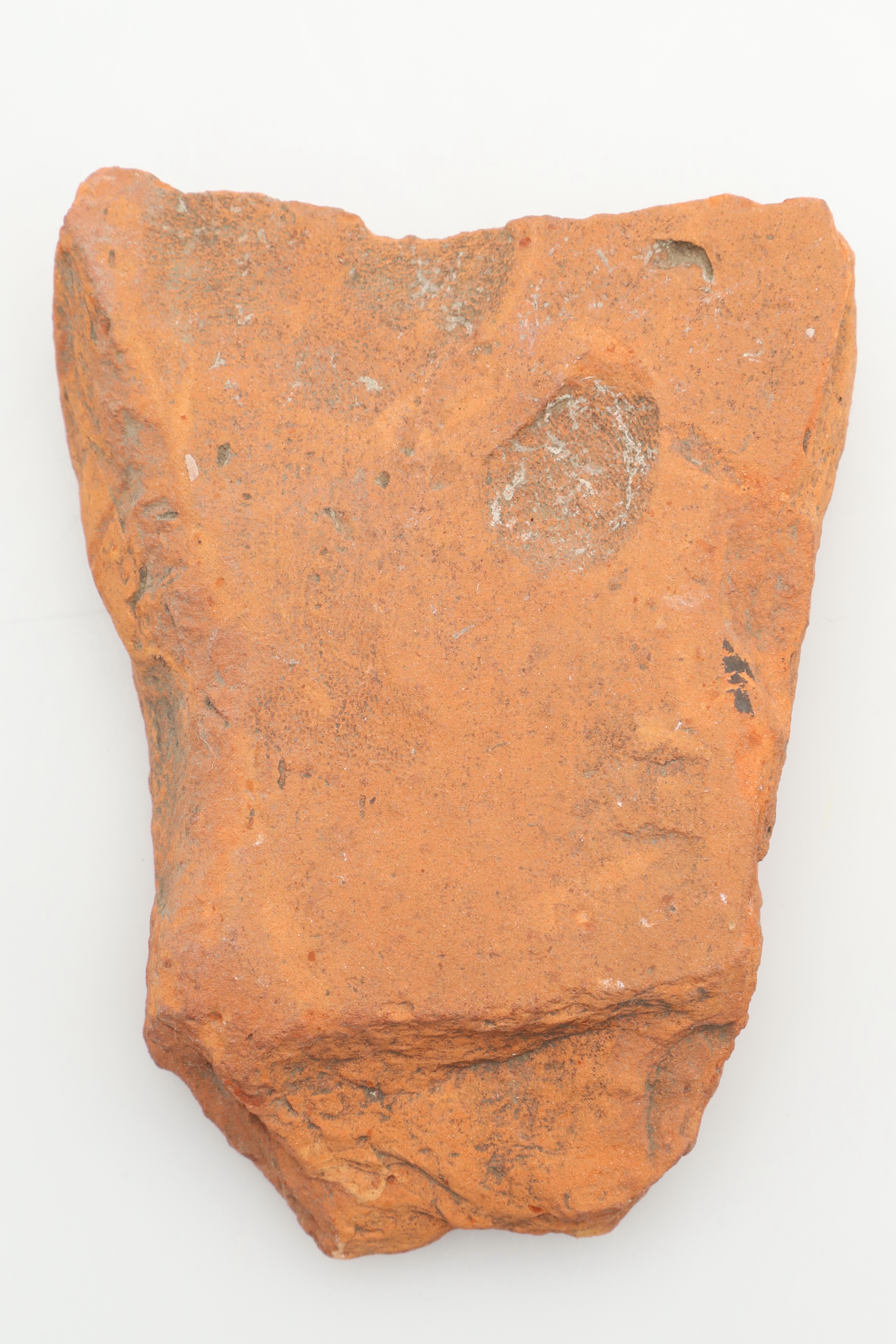 Images for 4568801. A ROMAN TERRACOTTA TILE WITH A DOG'S PAW PRINT ...