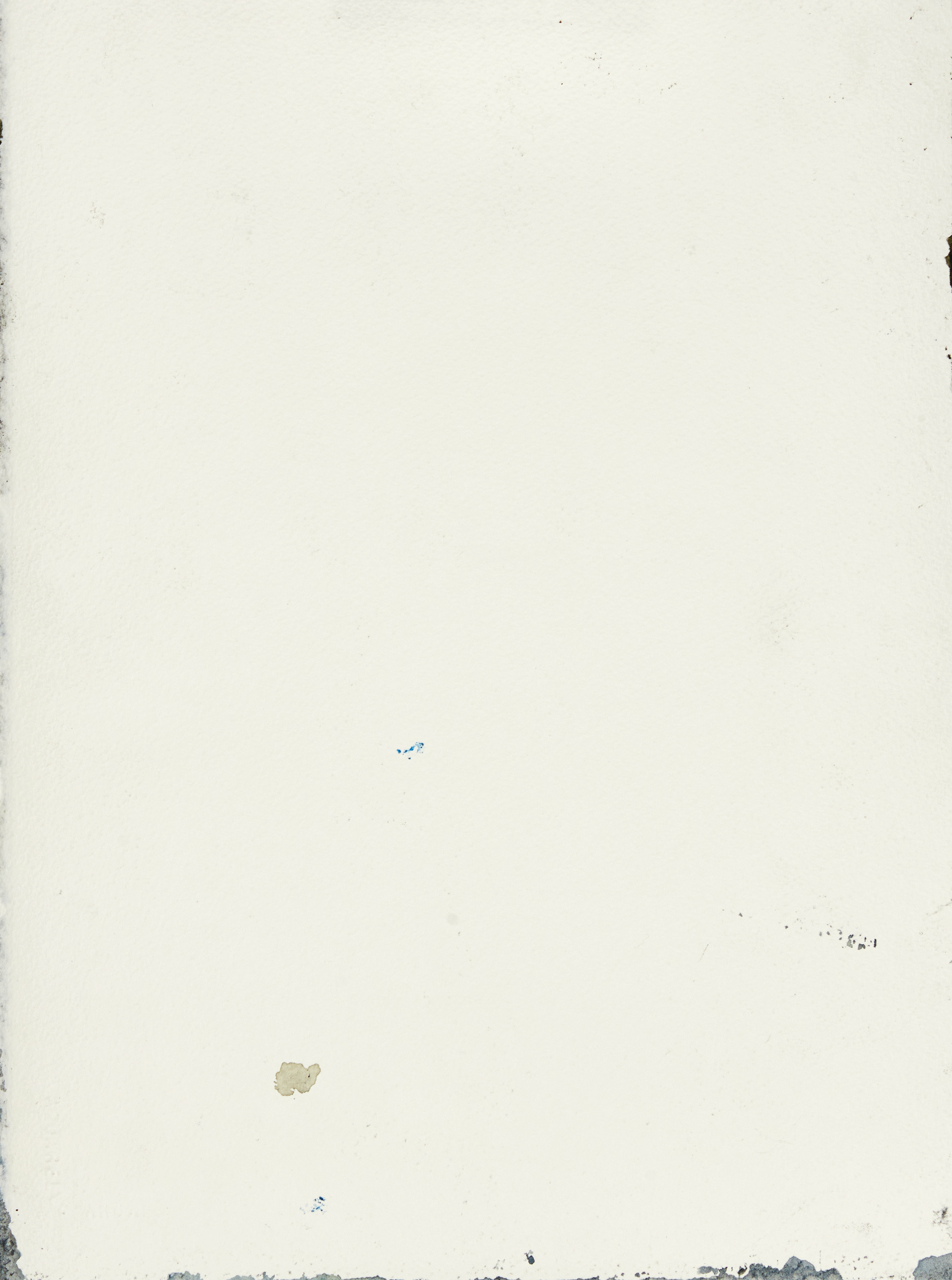 Images for 4578031. PETER EUGÉN (born 1978). Melting snow in forest ...
