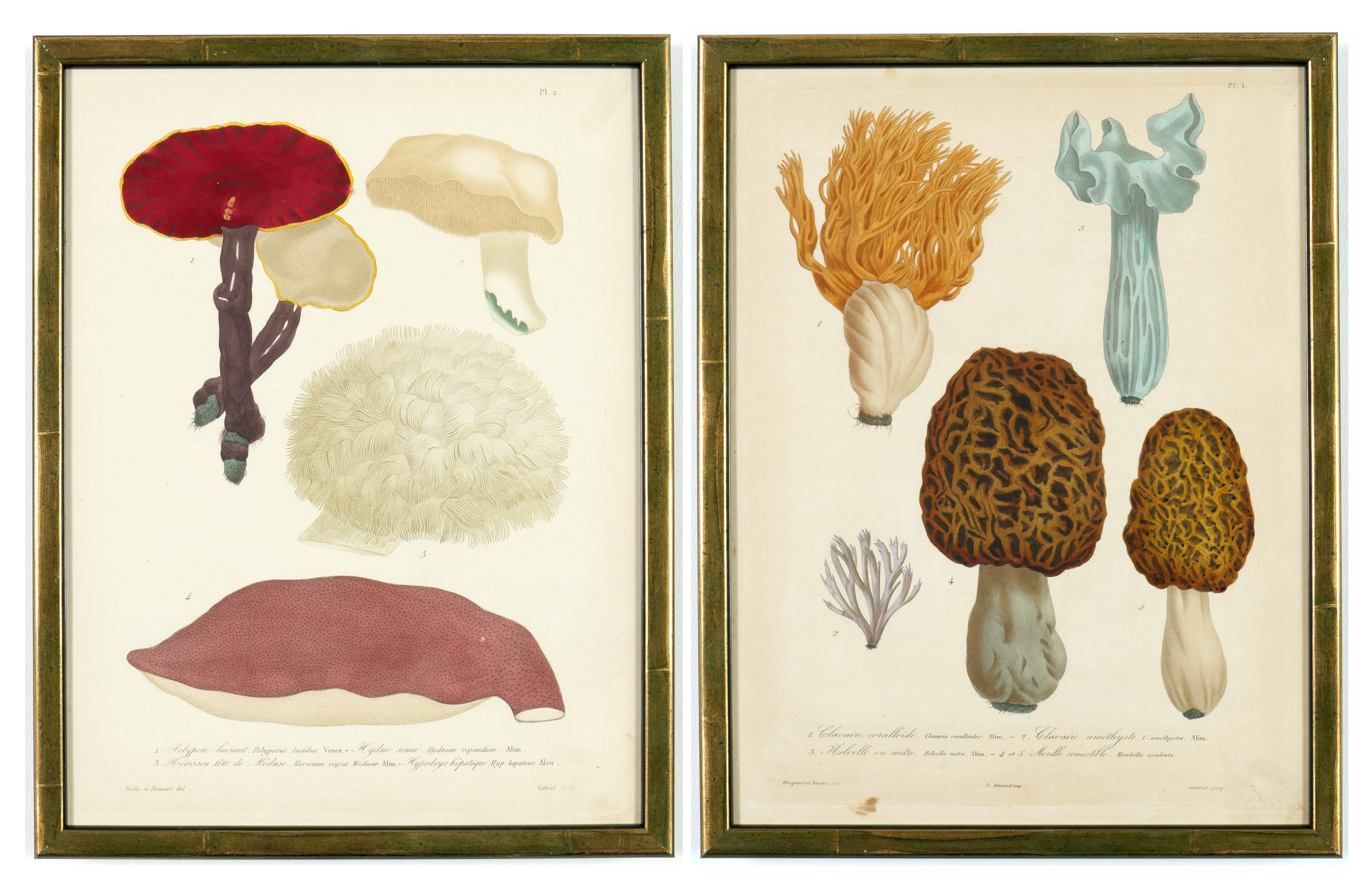 Images for 4624563. JOSEPH ROQUES. A PAIR OF ORIGINAL HAND COLOURED ...