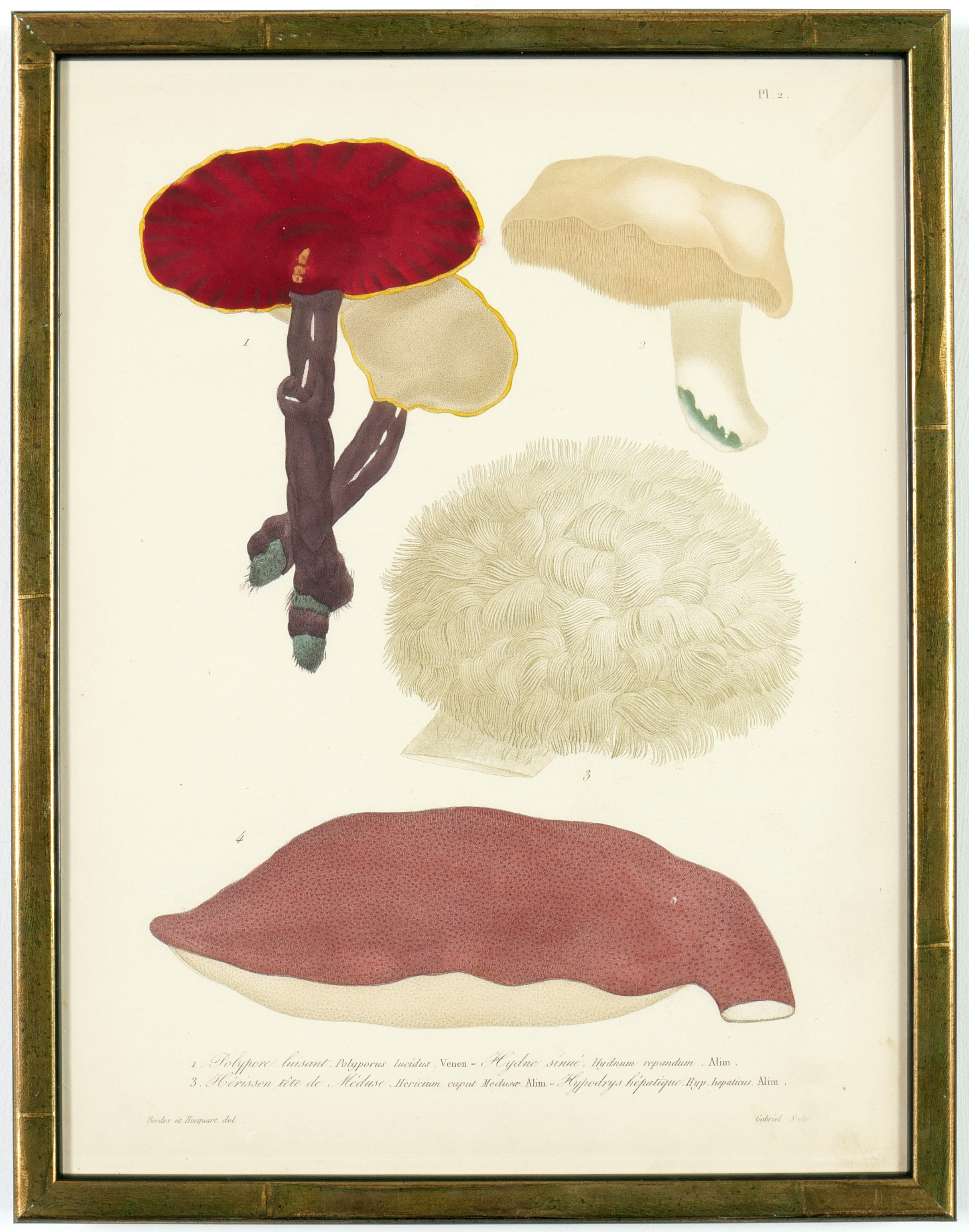 Images for 4624563. JOSEPH ROQUES. A PAIR OF ORIGINAL HAND COLOURED ...