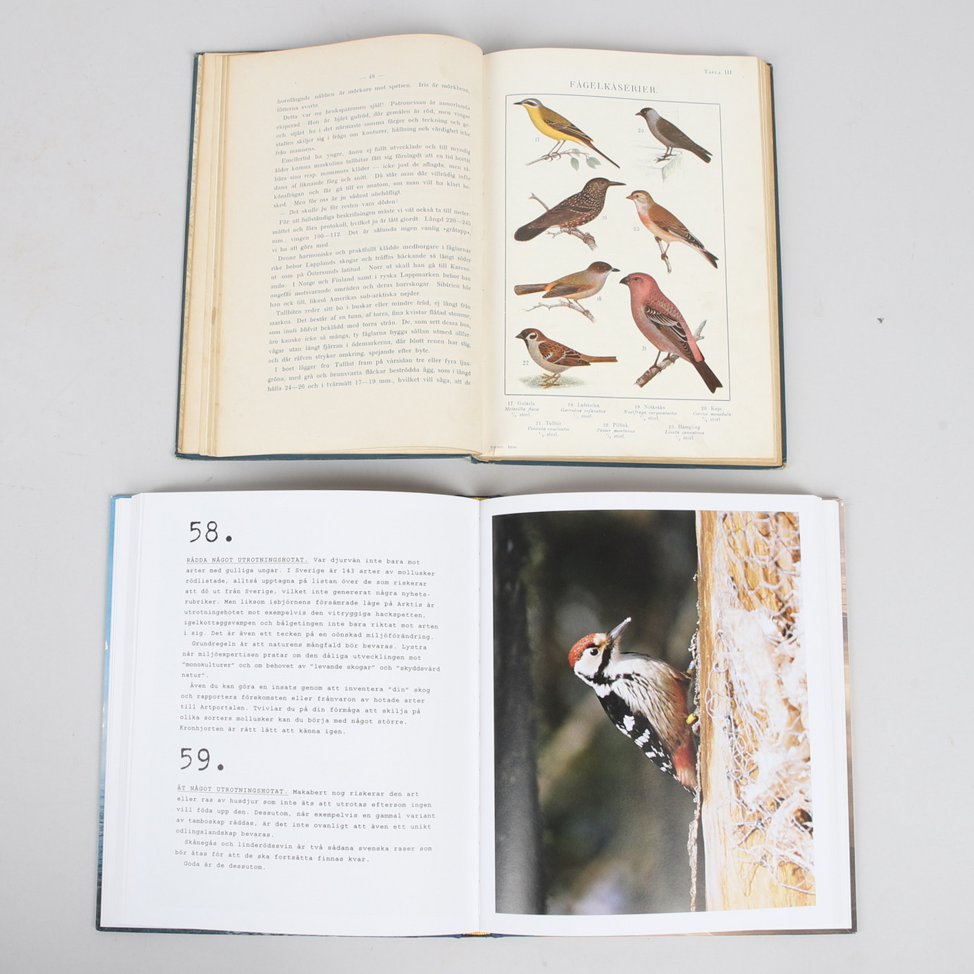 Images for 4634878. Books, 8 volumes, hardcover and booklet, including ...