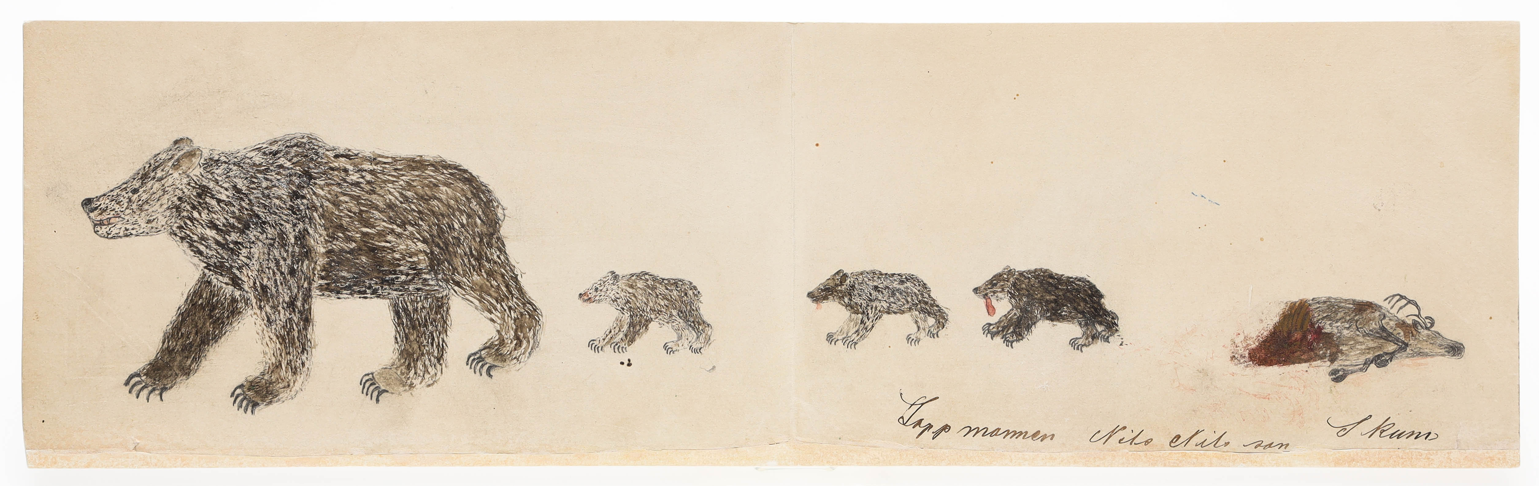 Bilder för 4661132. NILS NILSSON SKUM. teckning, Björnfamilj har fällt en ren, signerad ...