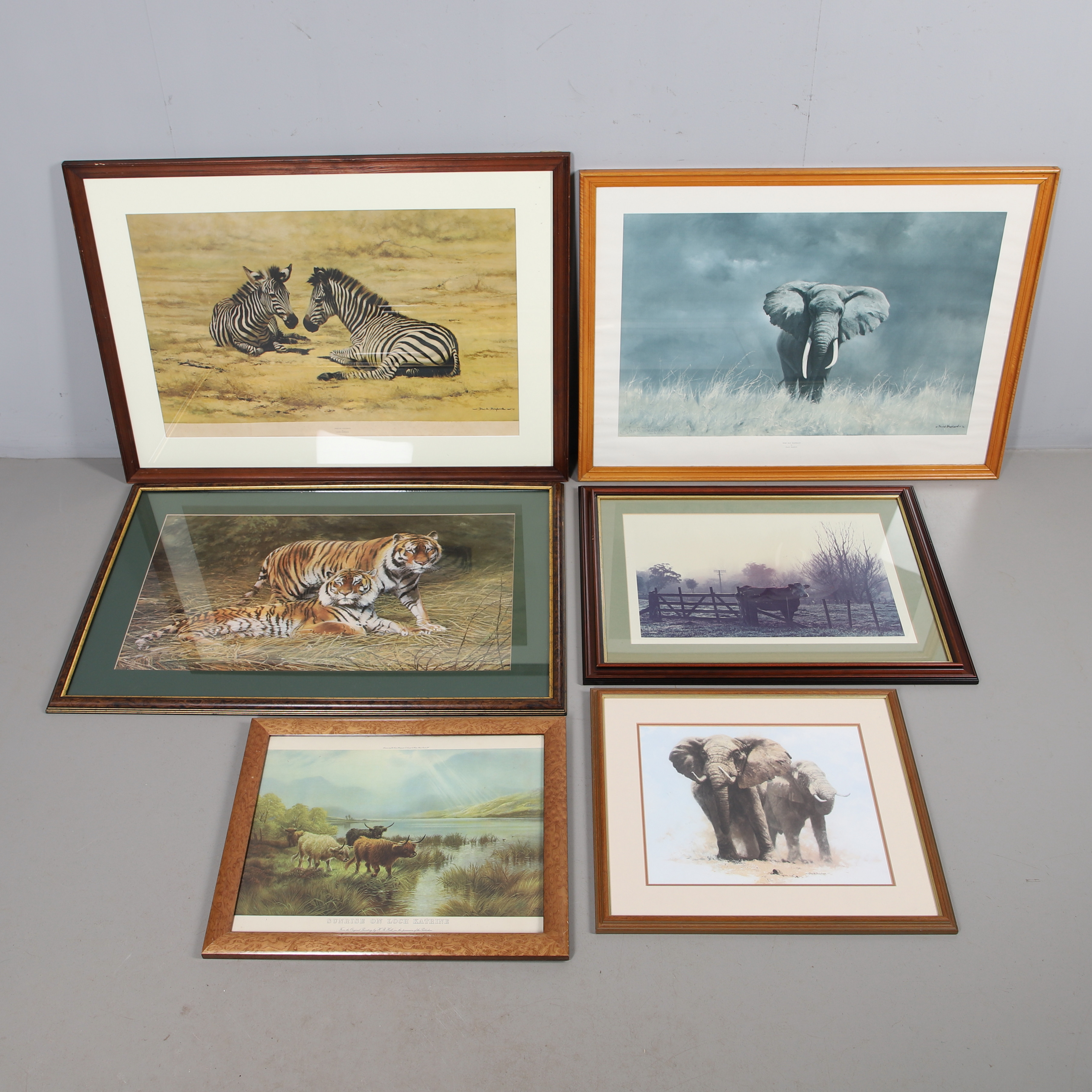 Bilder för 4662632. EN SAMLING OSIGNERADE TRYCK AV DAVID SHEPHERD OCH ...