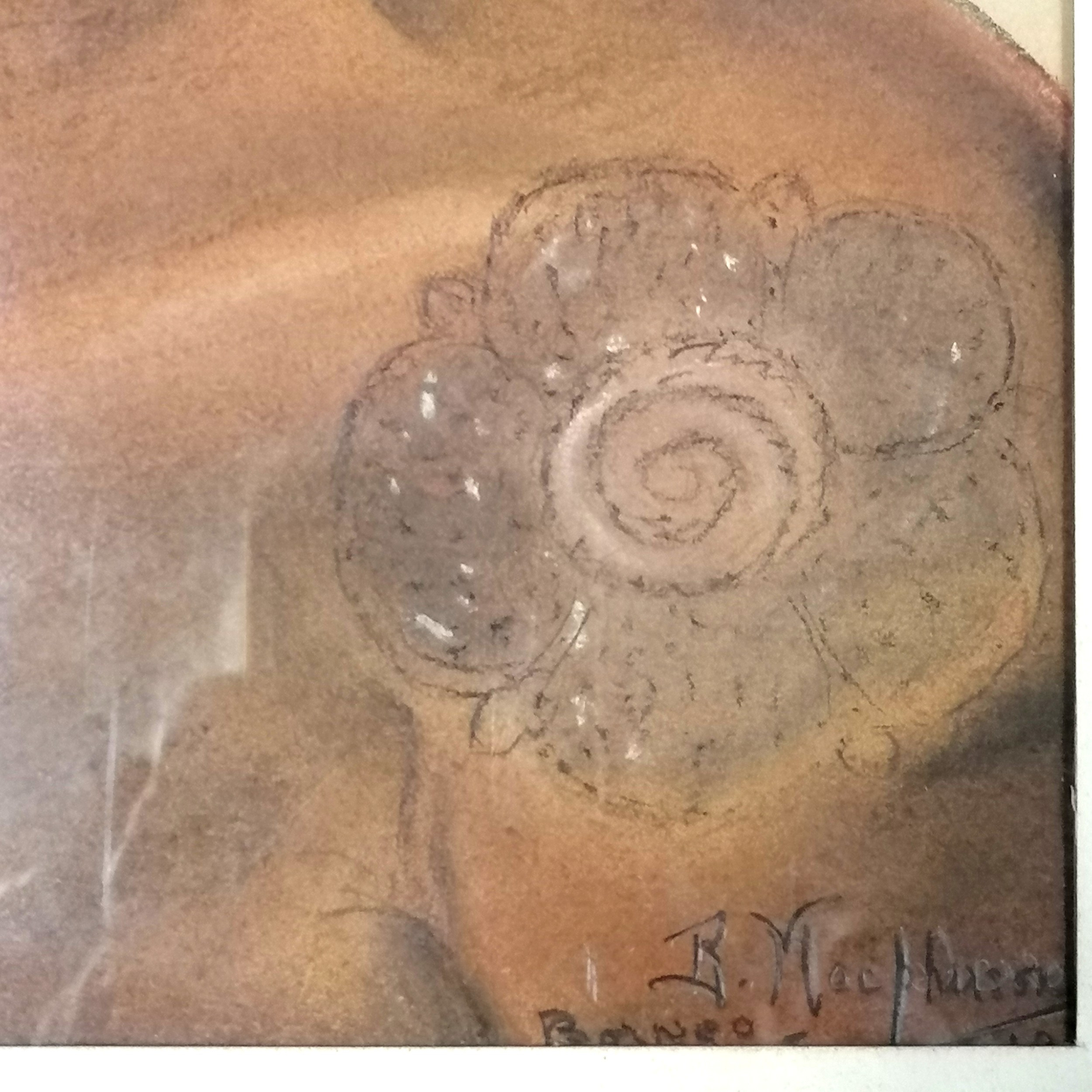 Bilder för 4726581. ORIGINALPORTRÄTT AV EN BORNEO STAMMAN. - Auctionet