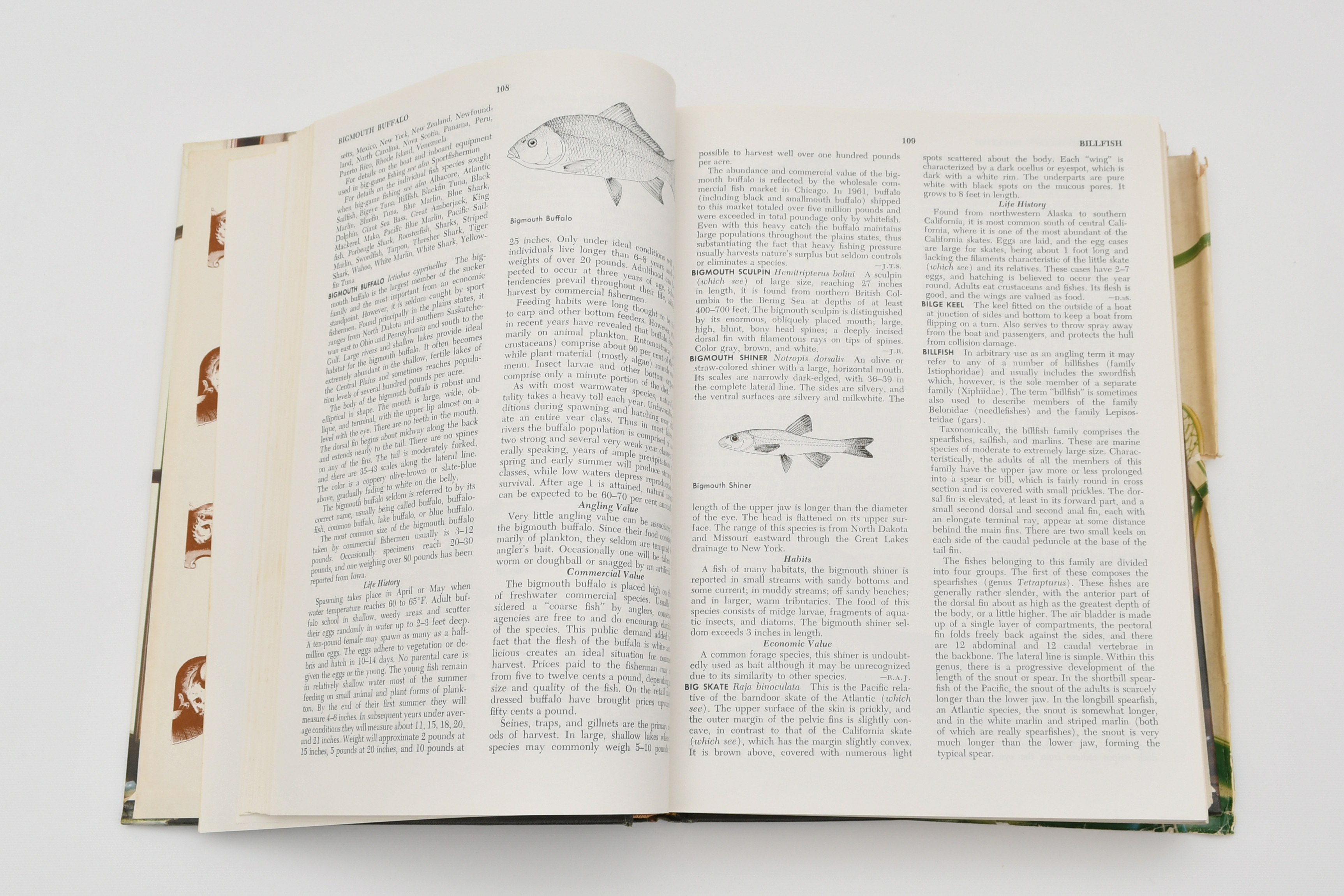 Images for 4828317. McClane's standard Fishing encyclopedia and ...